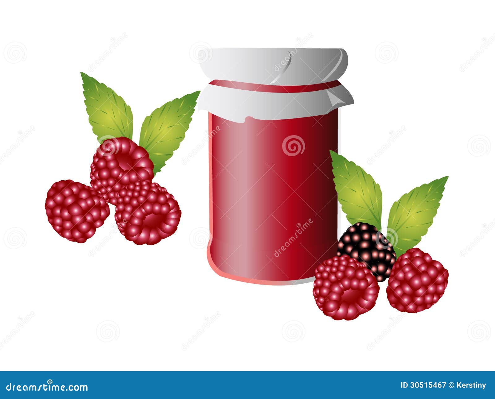 Raspberry stock illustration. Illustration of wild, forest - 30515467