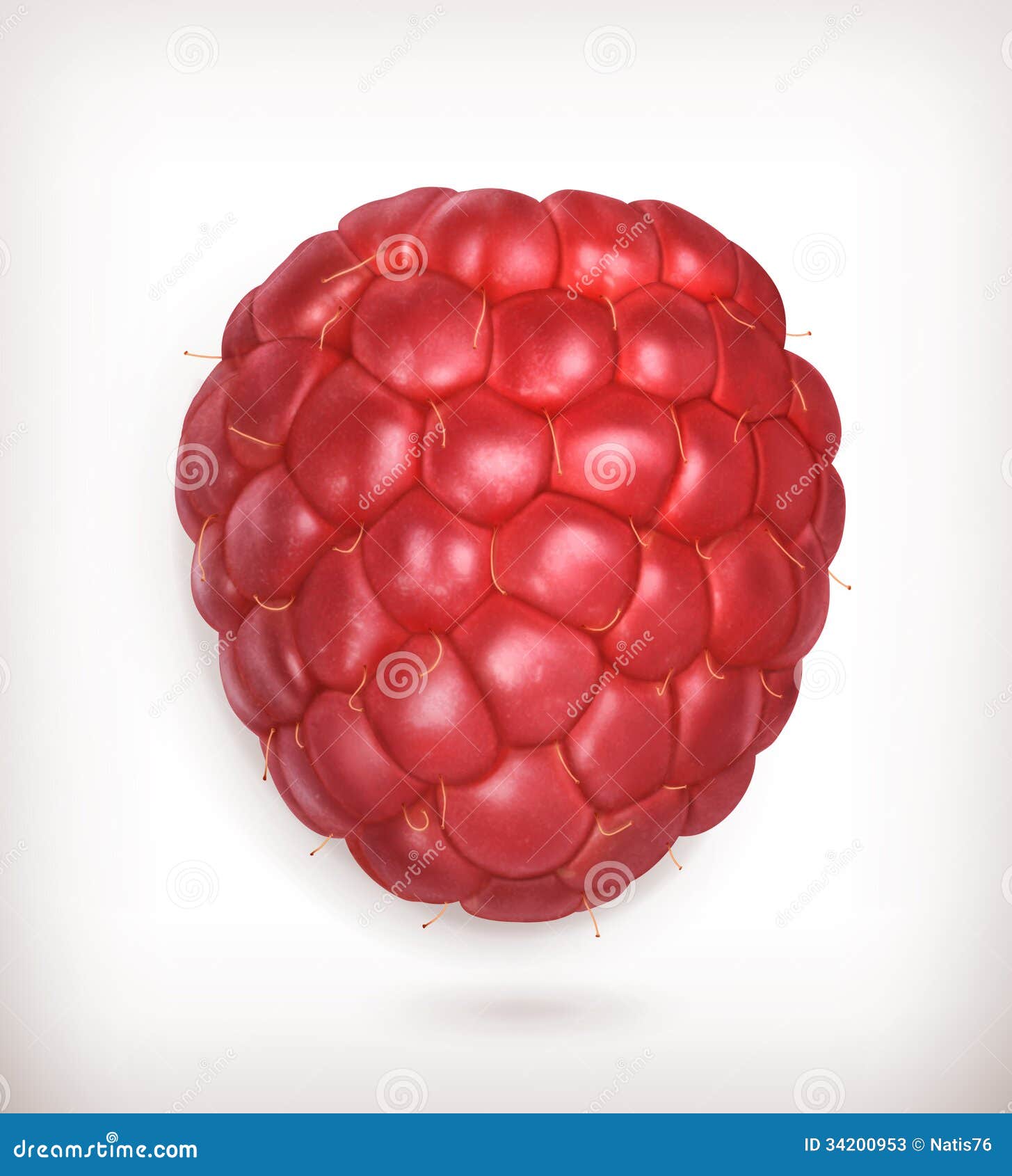 Raspberry stock vector. Illustration of sweet, natural - 34200953