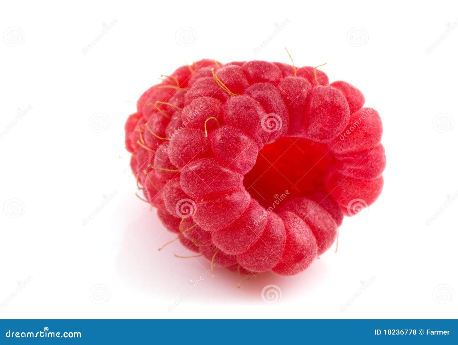 Raspberry isolated stock photo. Image of juicy, color - 10236778