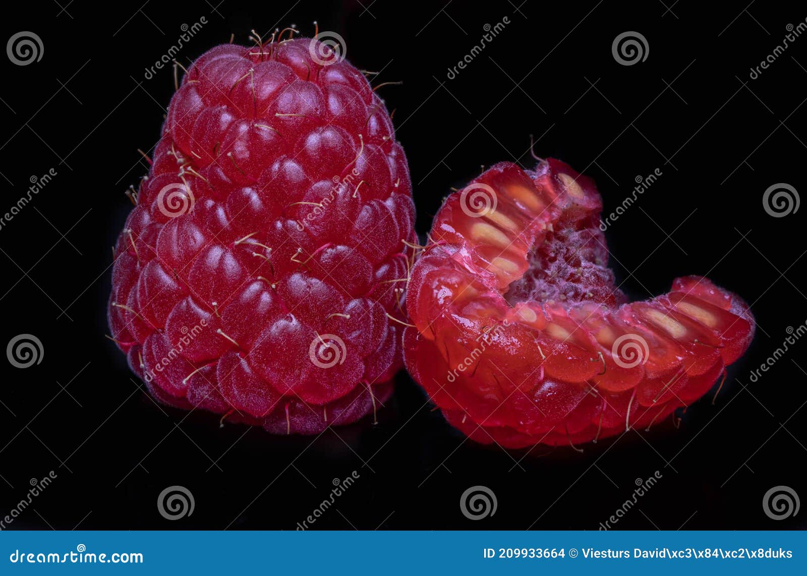 Raspberry with Reflection Isolated in Black Stock Photo - Image of ...
