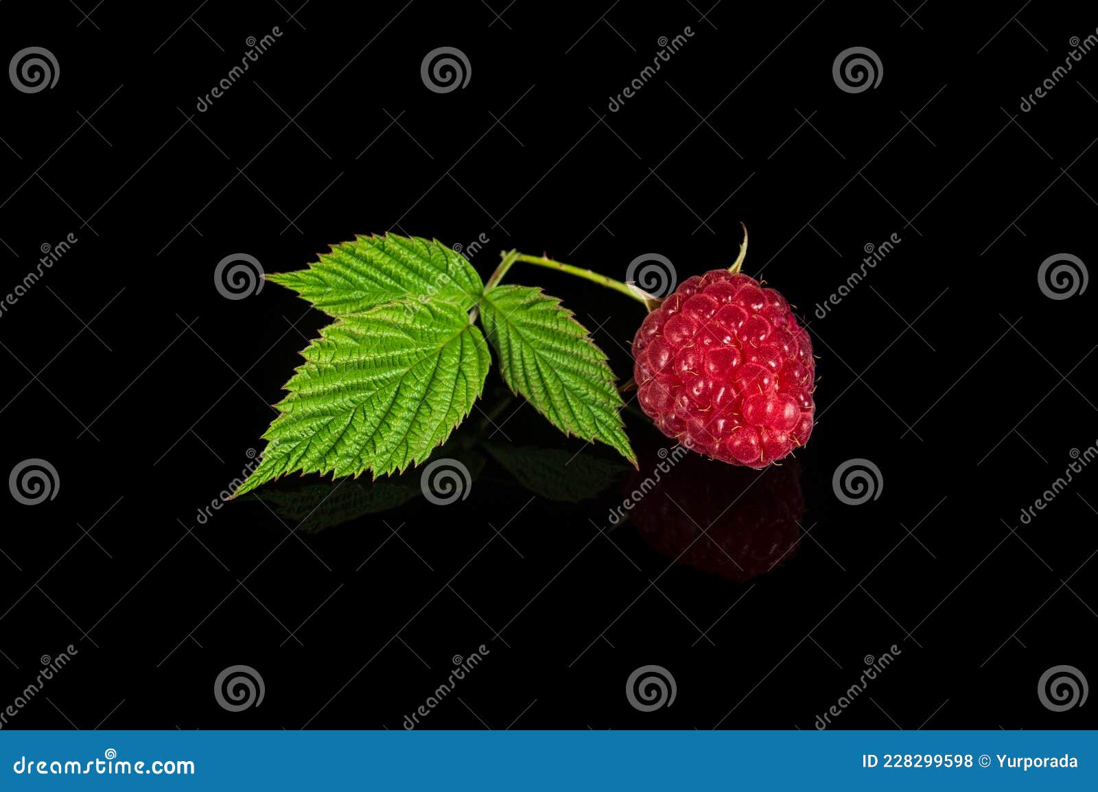 Raspberry Isolated. Raspberries with Leaf Isolate Stock Photo - Image ...