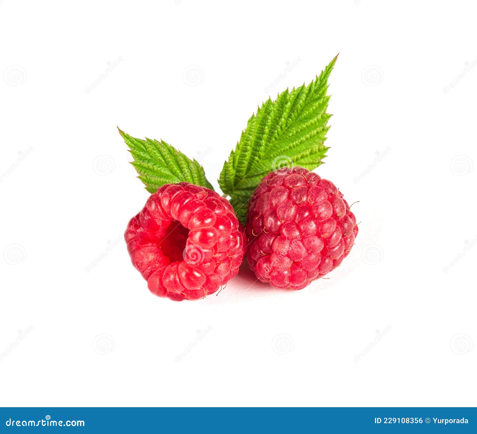 Raspberry Isolated. Raspberries with Leaf Isolate Stock Photo - Image ...