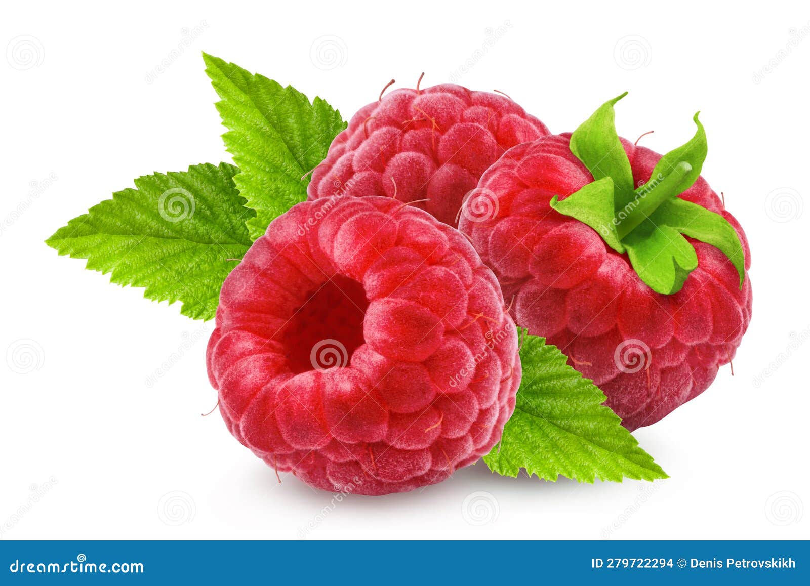 Raspberry Isolated. Ripe Raspberries with Leaves on a White. Stock ...