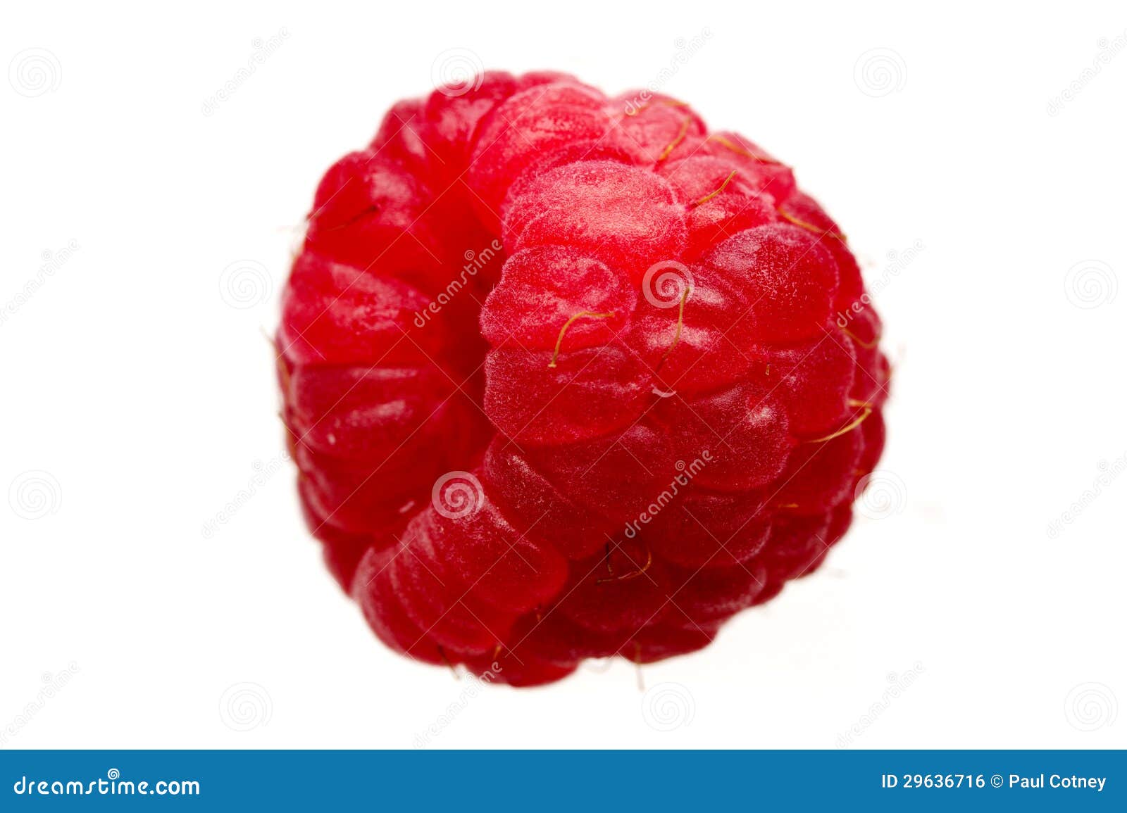 Raspberry Isolated on a White Background Stock Photo - Image of healthy ...