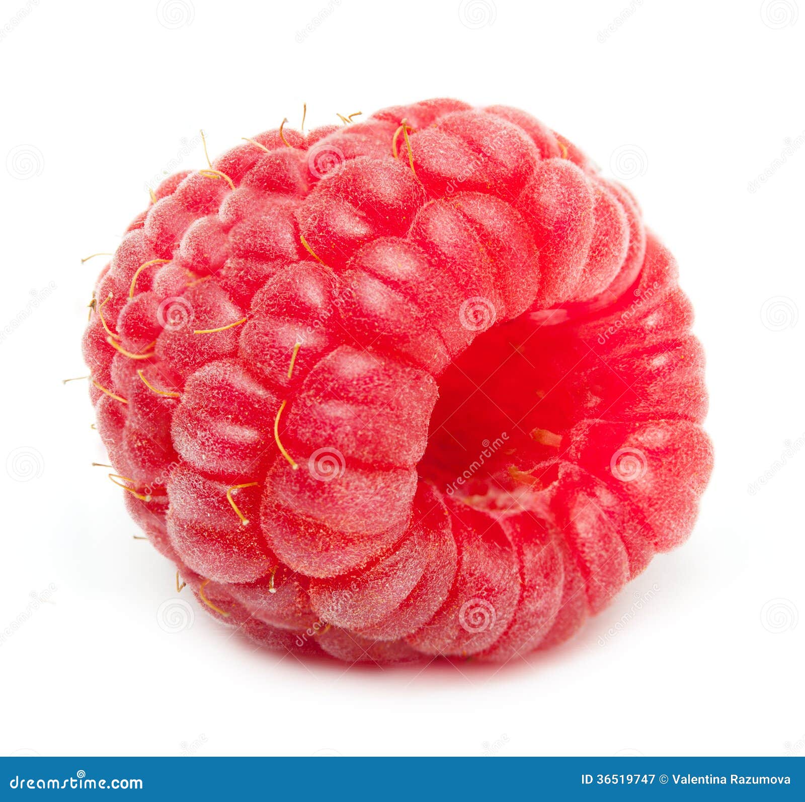 Raspberry isolated stock image. Image of white, healthy - 36519747