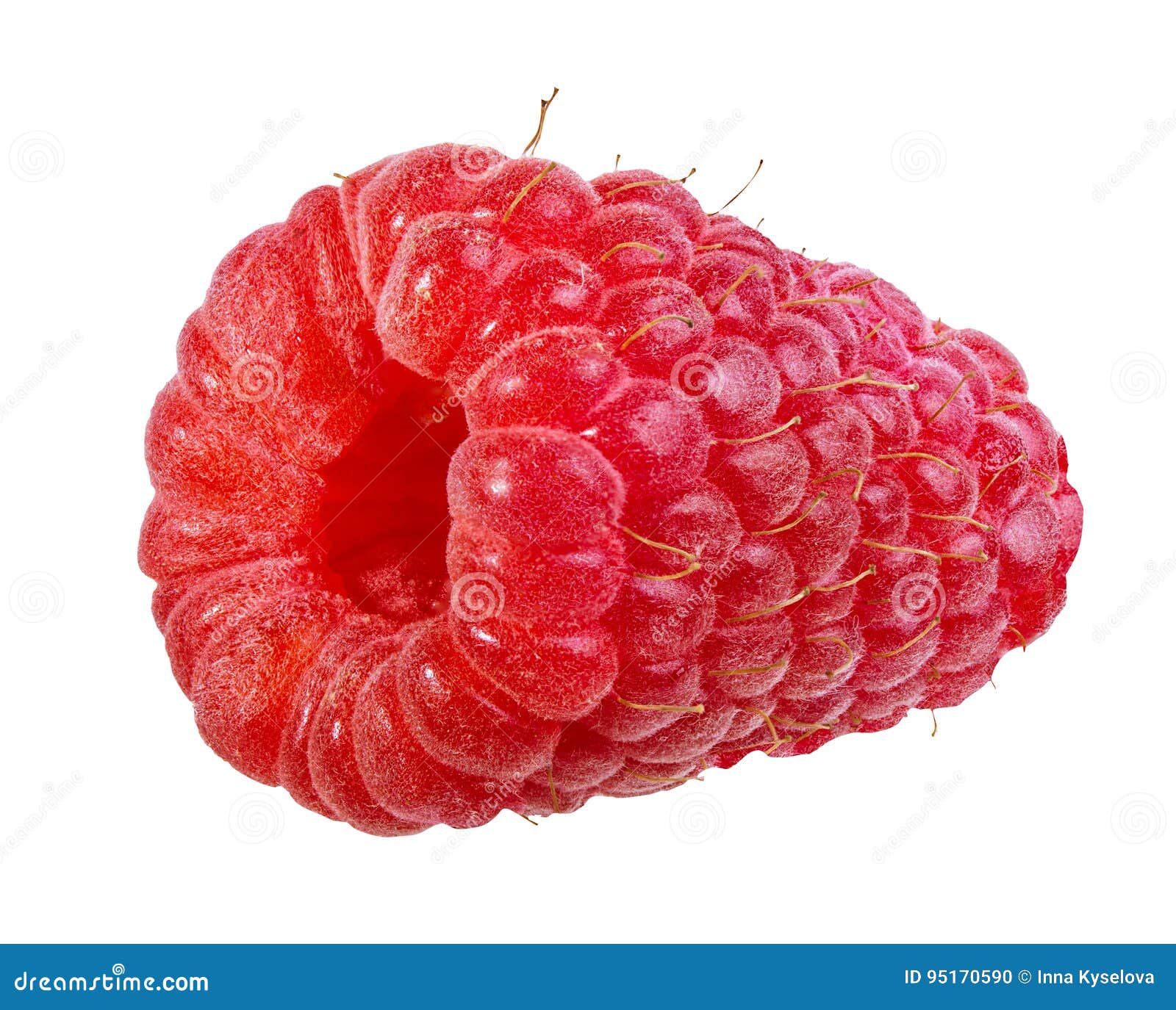 Raspberry Isolated on White Stock Photo - Image of gourmet, dessert ...