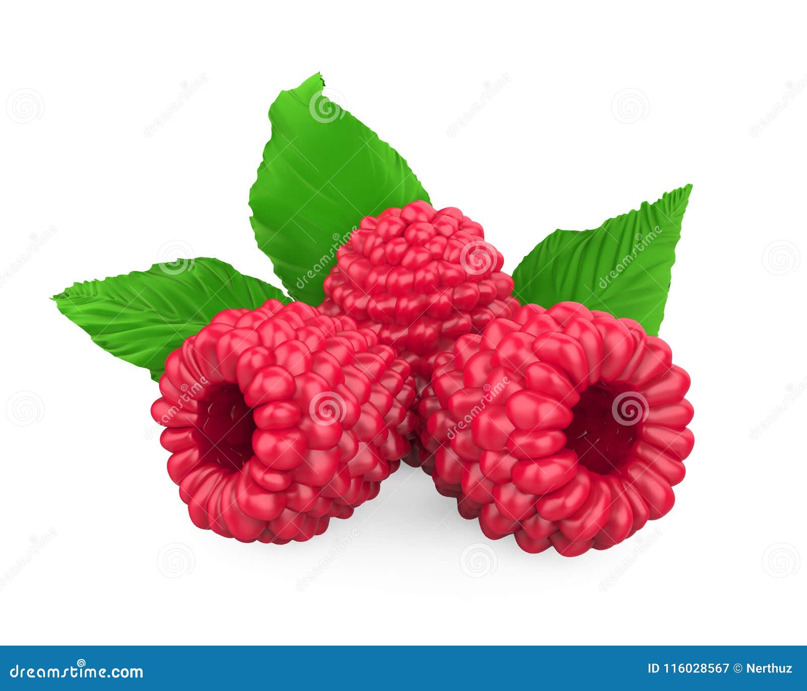 Raspberry Isolated stock illustration. Illustration of ripe - 116028567