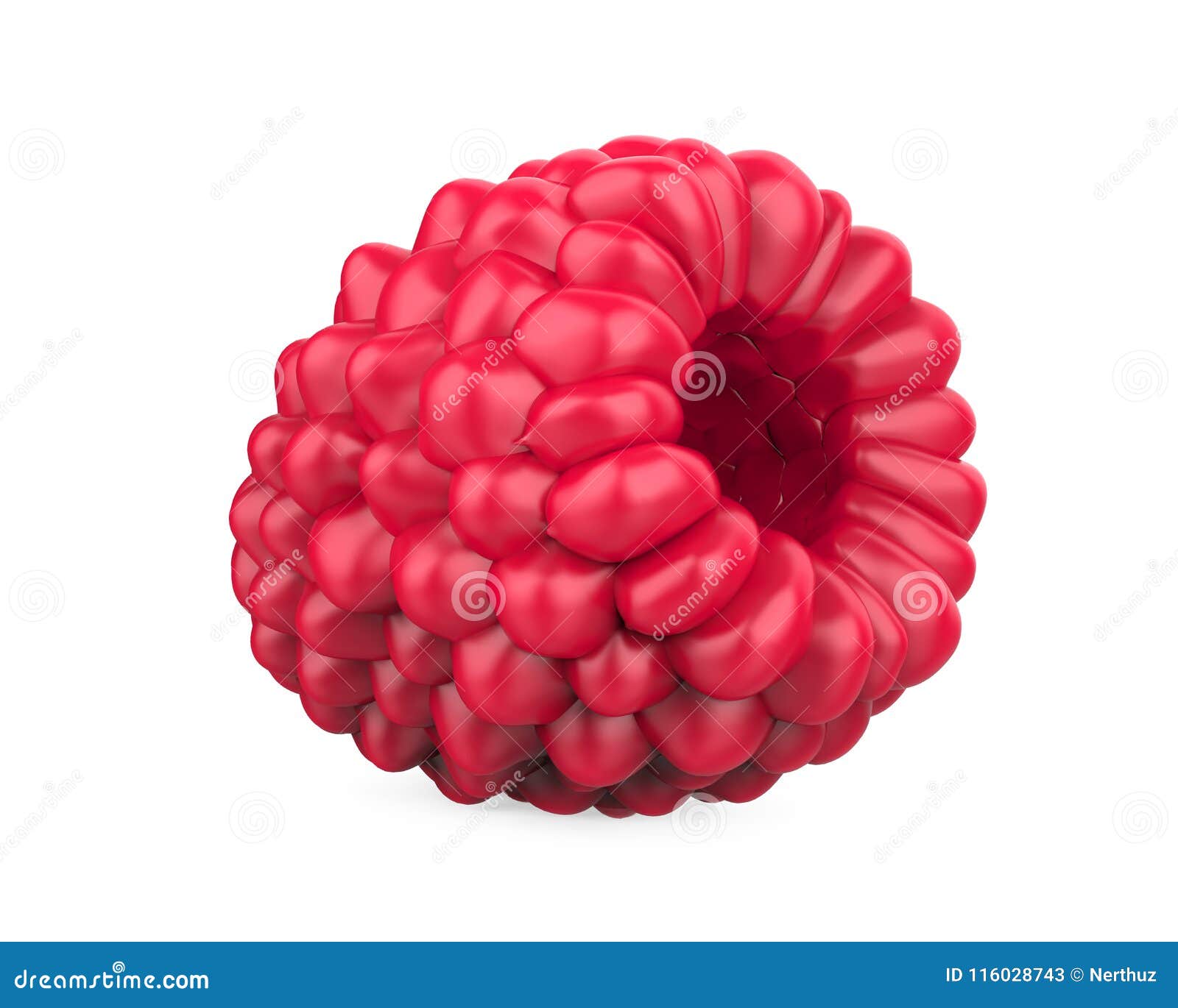 Raspberry Isolated stock illustration. Illustration of vegetarian ...
