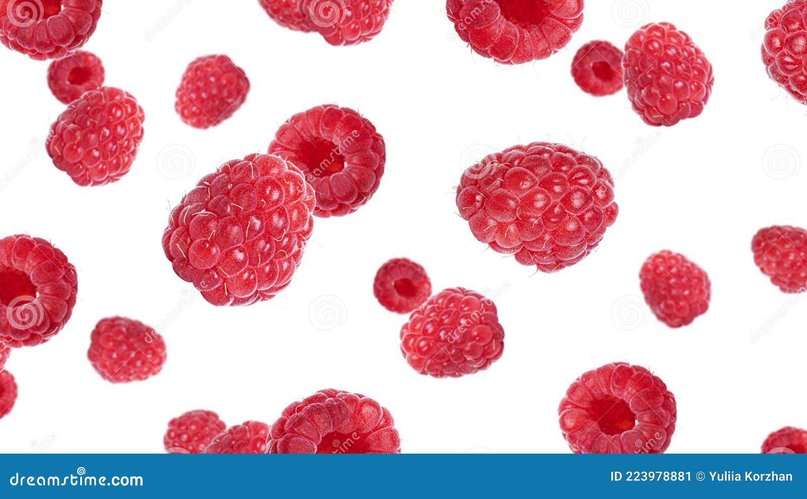 Raspberry Isolated on a White Background. Raspberries. Flying ...