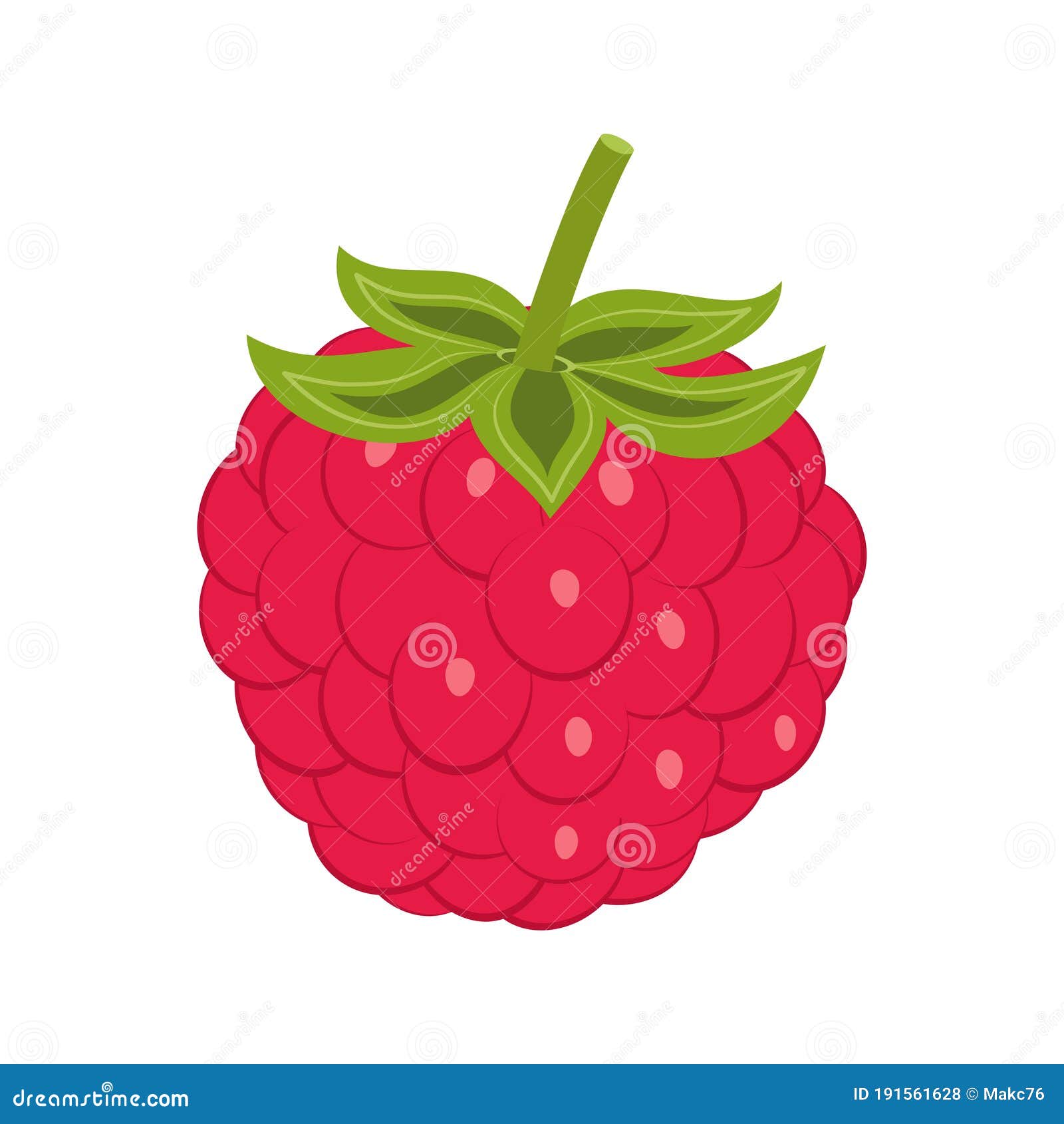 Raspberry Isolated on White Background, Vector Illustration Stock ...