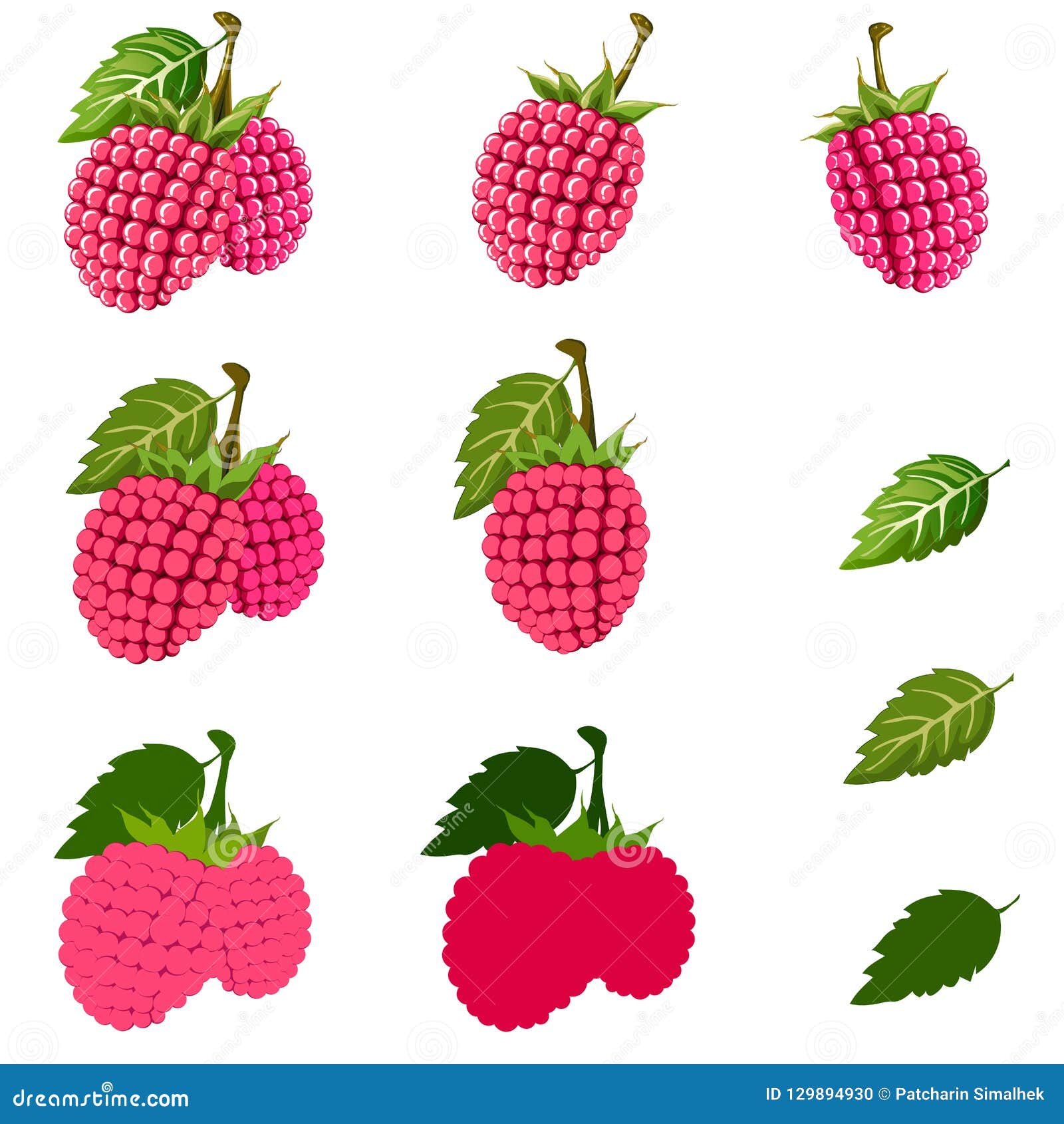 Raspberry Isolated on White with Clipping Path. Stock Illustration ...