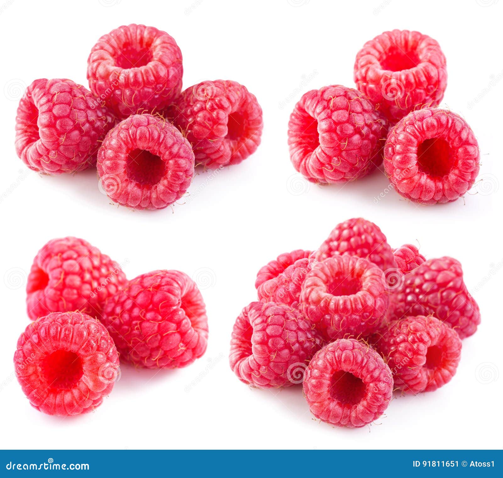 Raspberry Isolated on White Stock Image - Image of vivid, shiny: 91811651