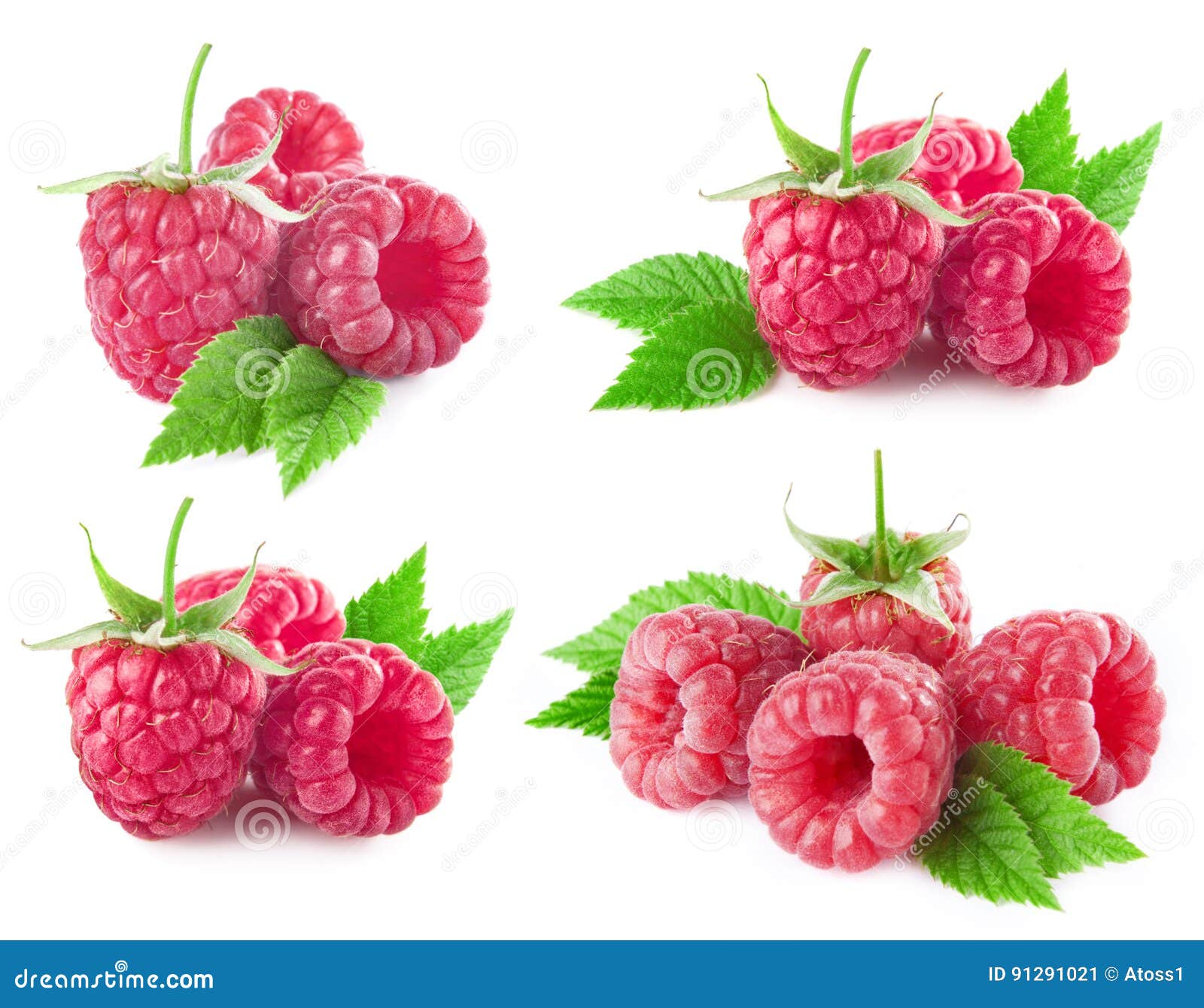 Raspberry Isolated on White Stock Image - Image of vivid, shiny: 91291021