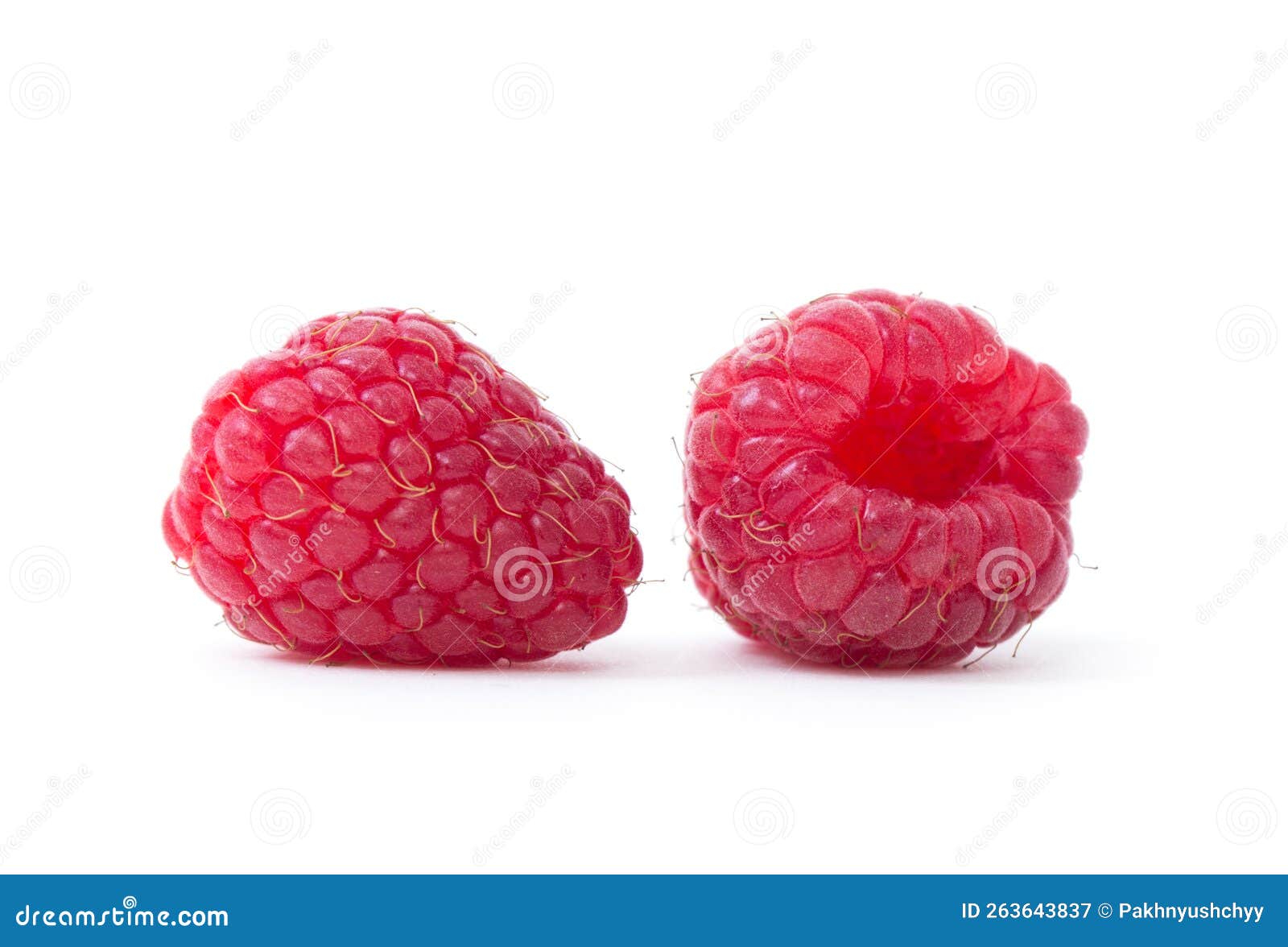 Raspberry Isolated. Raspberry on White Stock Image - Image of plant ...