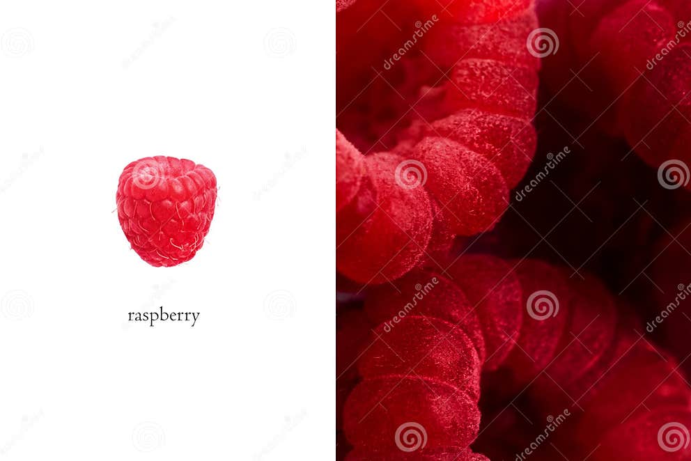 Raspberry Layout for Advertising Stock Image - Image of group, fruit ...