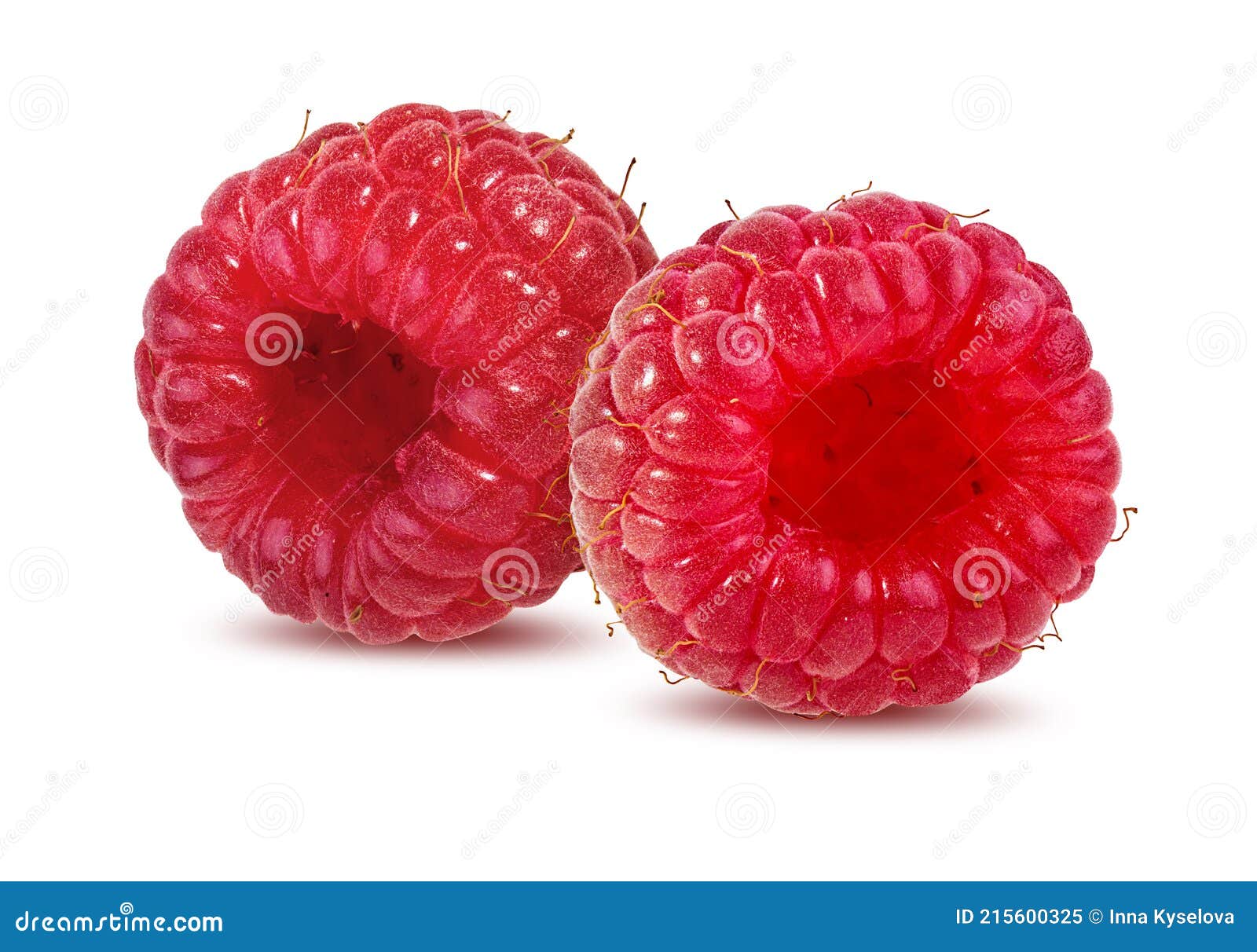 Raspberry with Leaf Isolated Stock Image - Image of macro, closeup ...