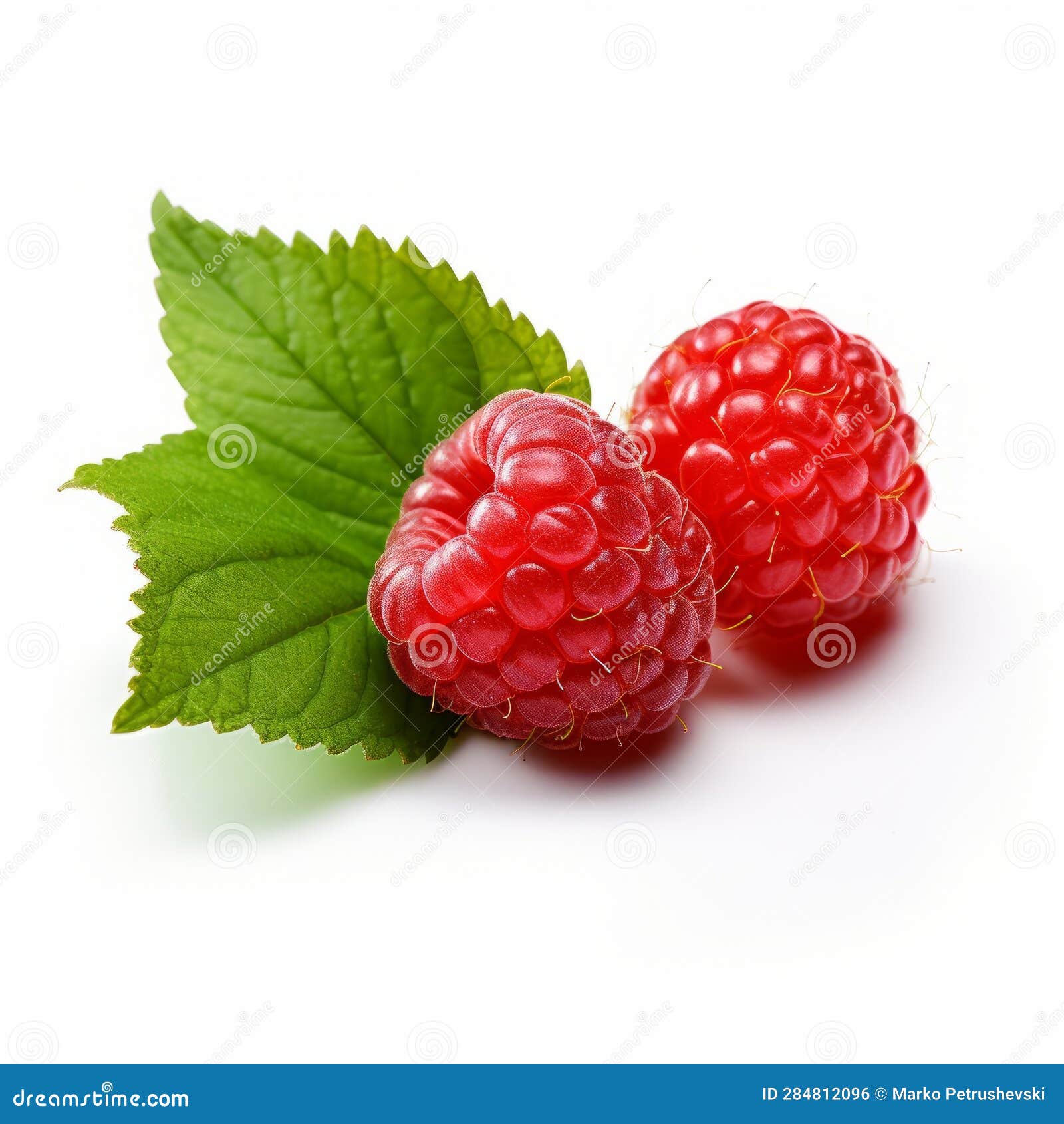 Raspberry with Leaf Isolated on White Background Stock Illustration ...
