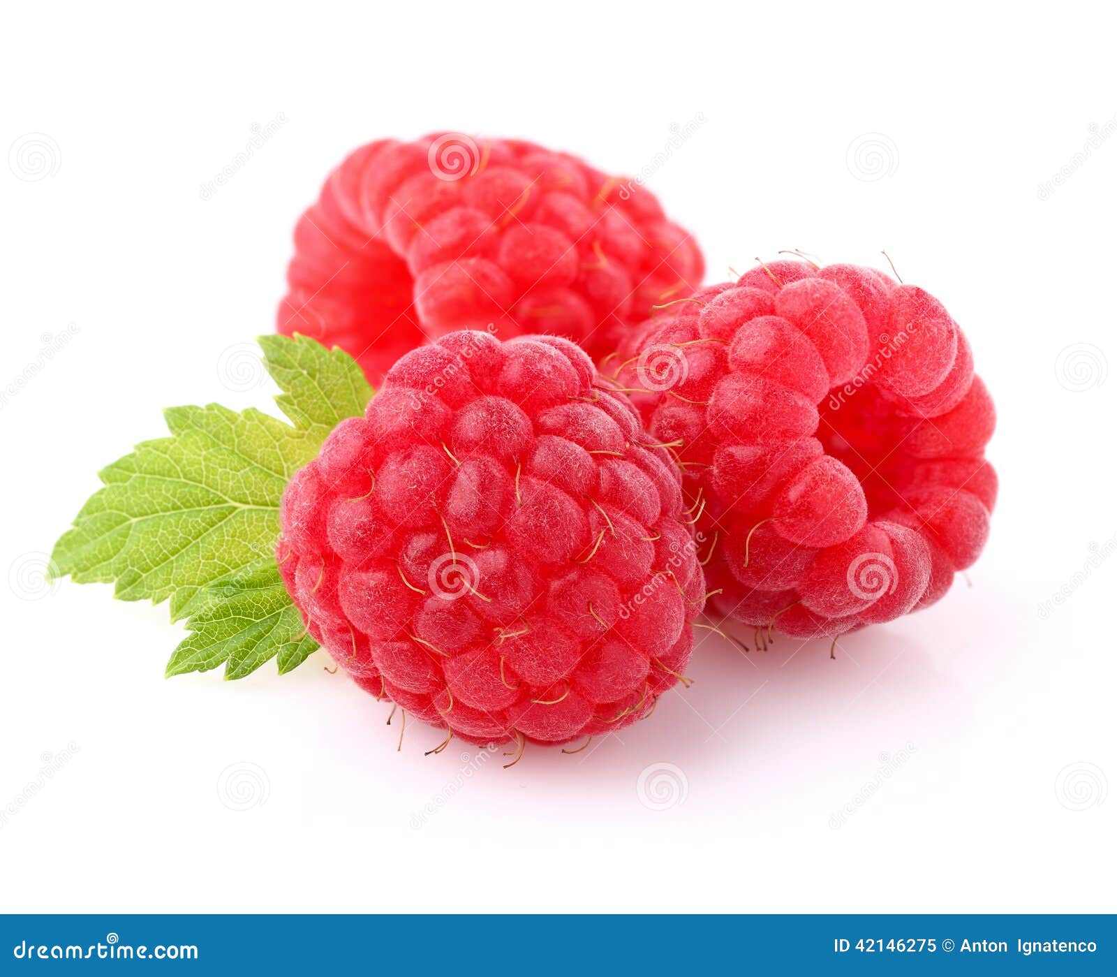 Raspberry with leaf stock image. Image of fruit, objects - 42146275