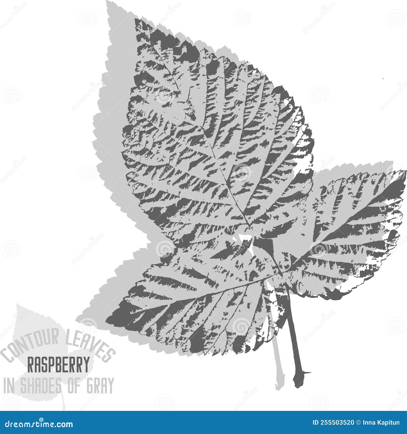 Raspberry Leafs Pattern Vector Illustration Stock Vector - Illustration ...