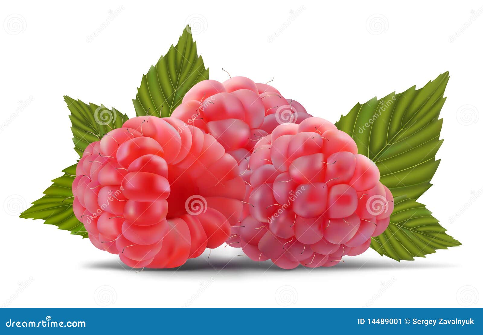 Pozzy Stock Illustrations – 128 Pozzy Stock Illustrations, Vectors ...