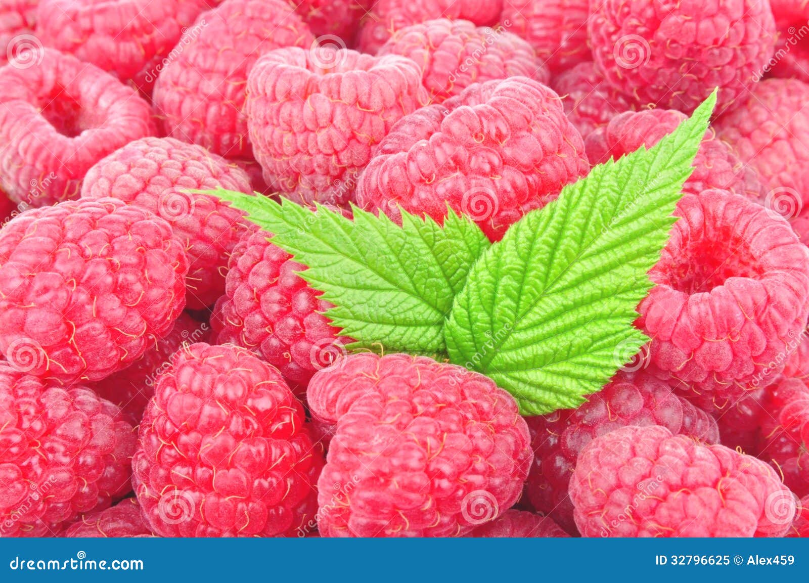Raspberry with leaves stock image. Image of vegetarian - 32796625