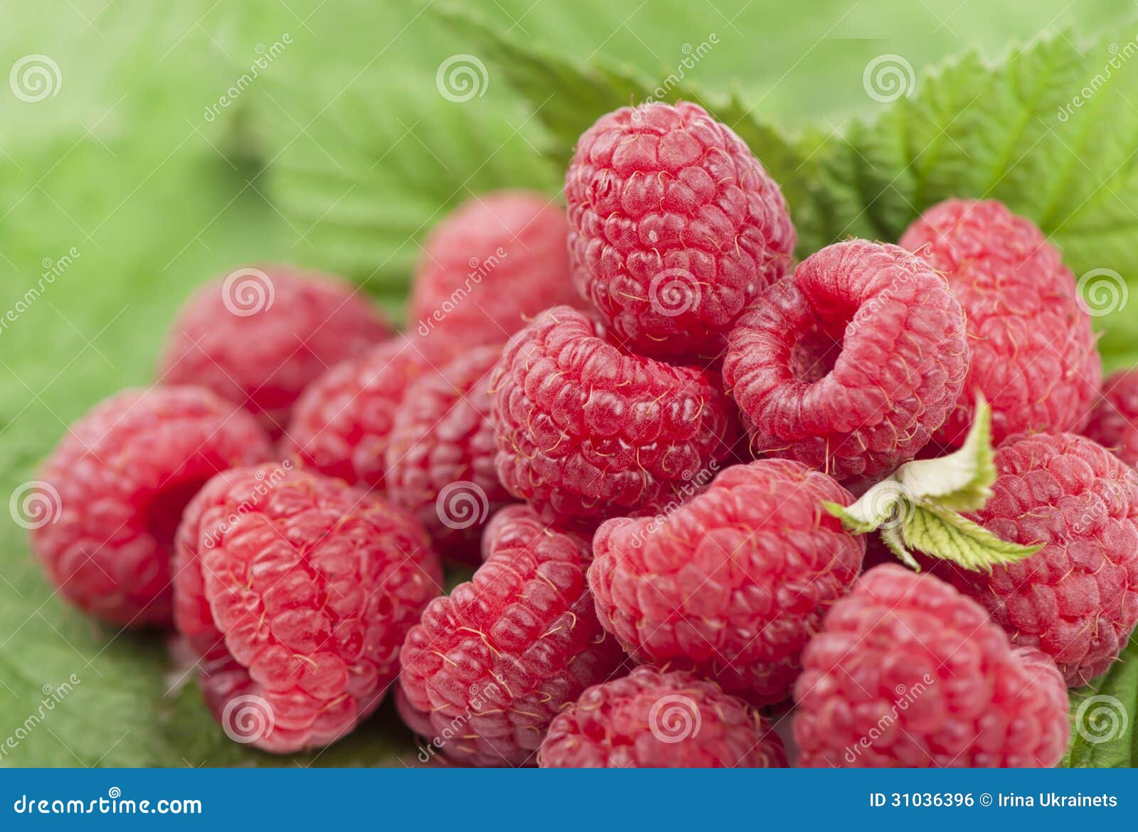 Raspberry with leaves stock photo. Image of food, natural - 31036396