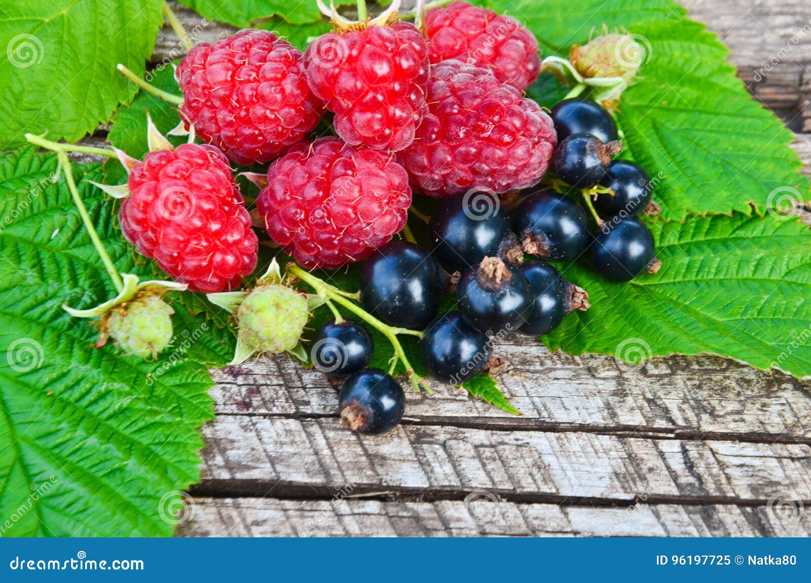 Raspberry Leaves and Black Currant on the Board Stock Image - Image of ...