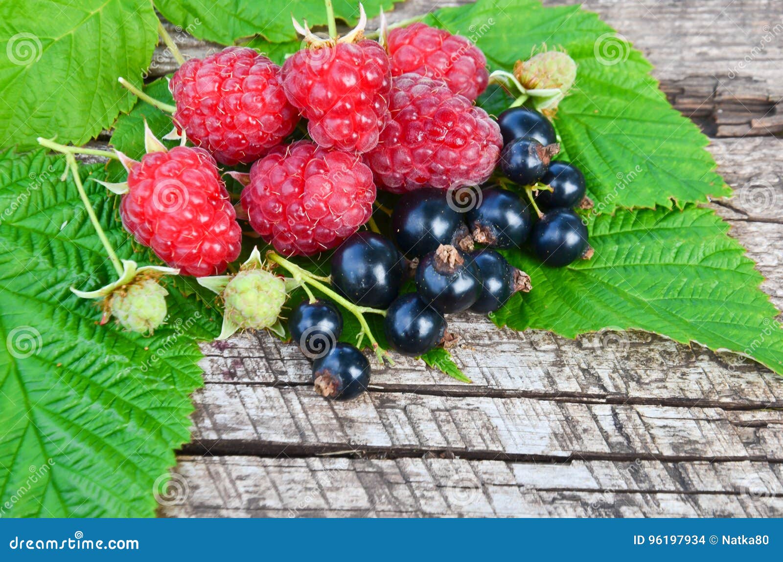 Raspberry Leaves and Black Currant on the Board Stock Photo - Image of ...