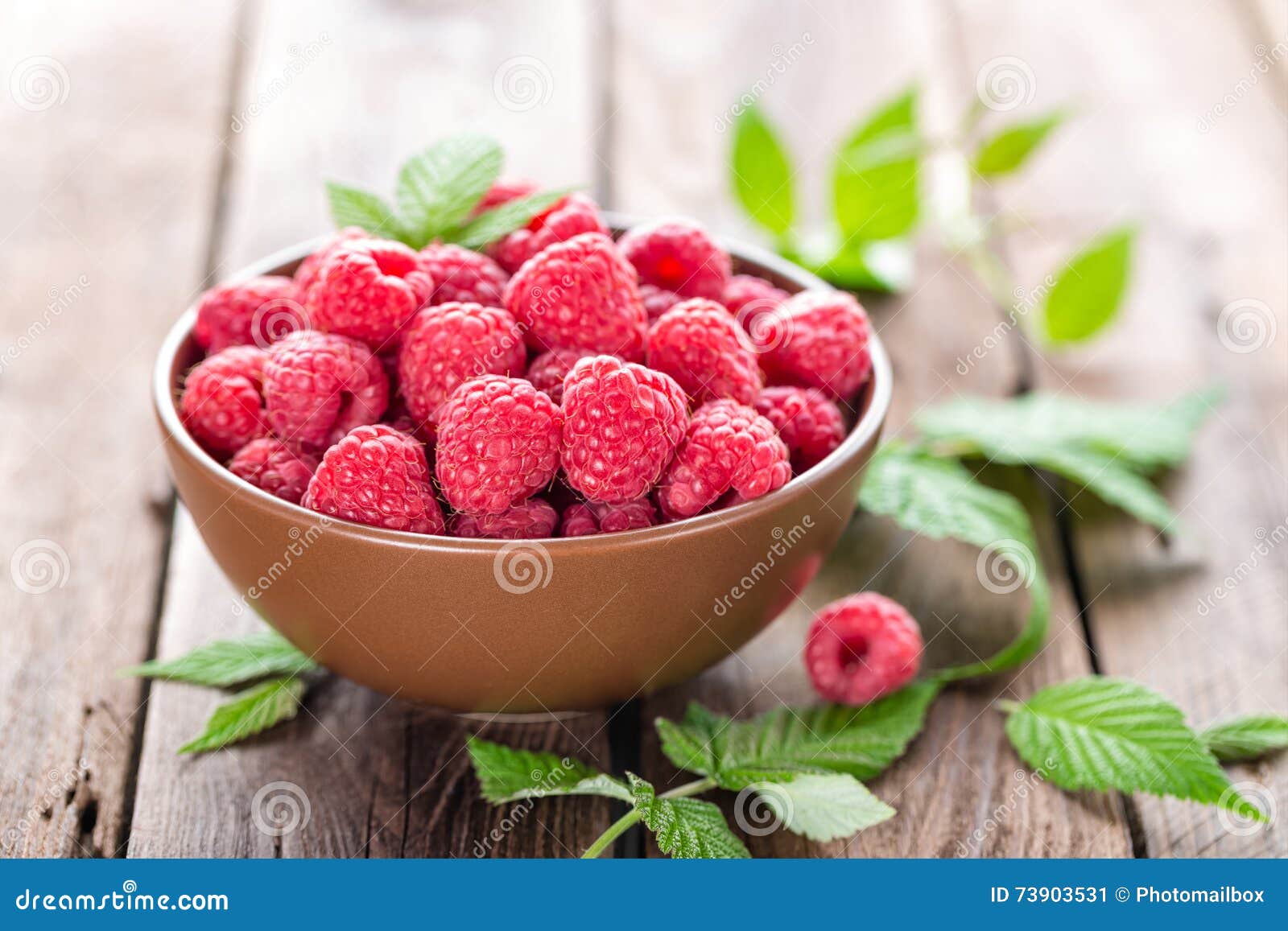 Raspberry stock image. Image of bowl, health, freshness - 73903531