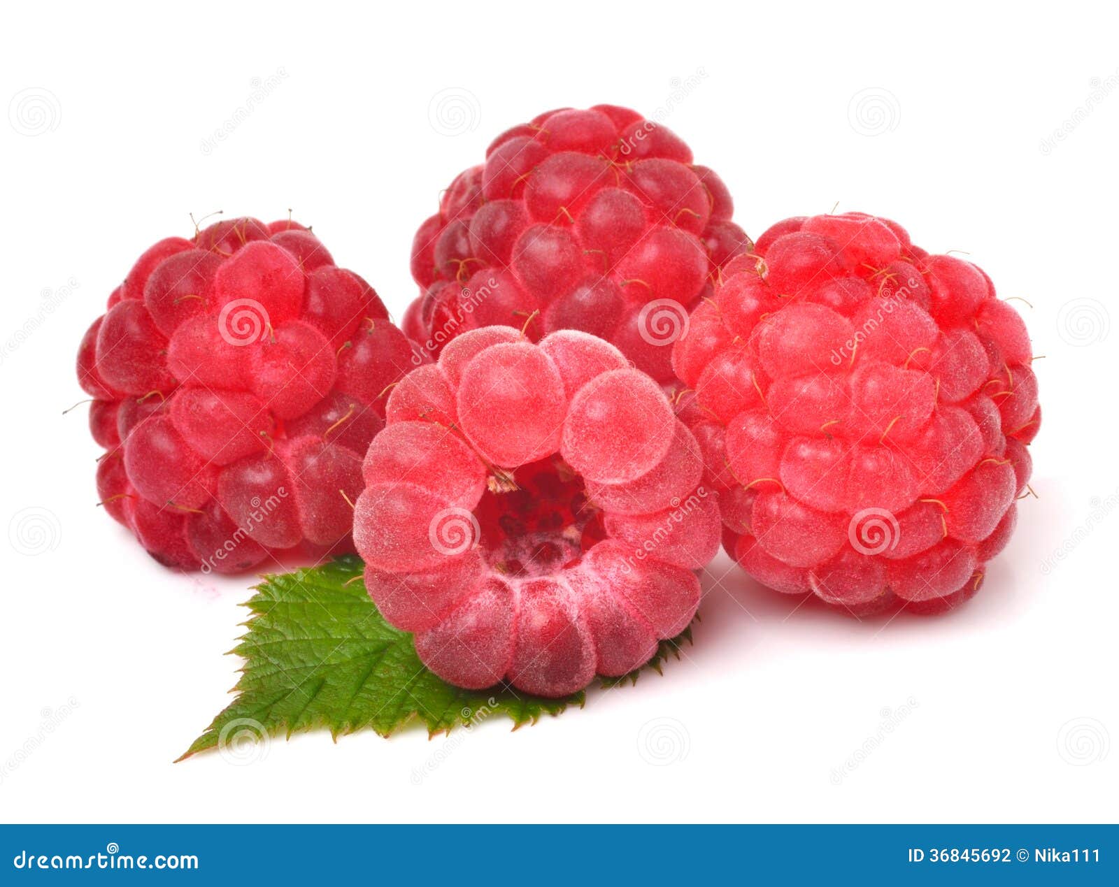 Raspberry with leaves stock photo. Image of bramble, berry - 36845692