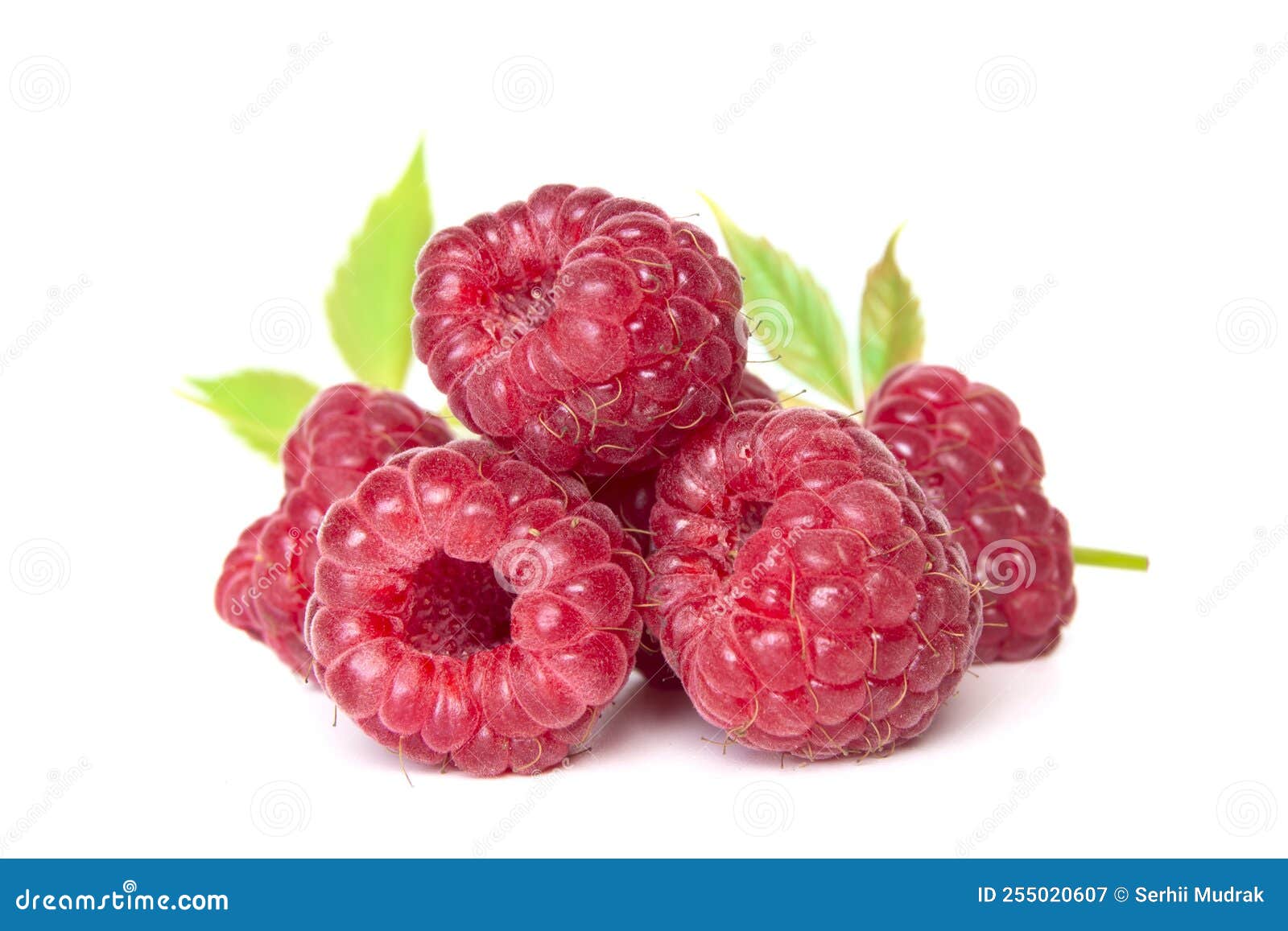 Raspberry with Leaves Isolated on White Background Stock Image - Image ...