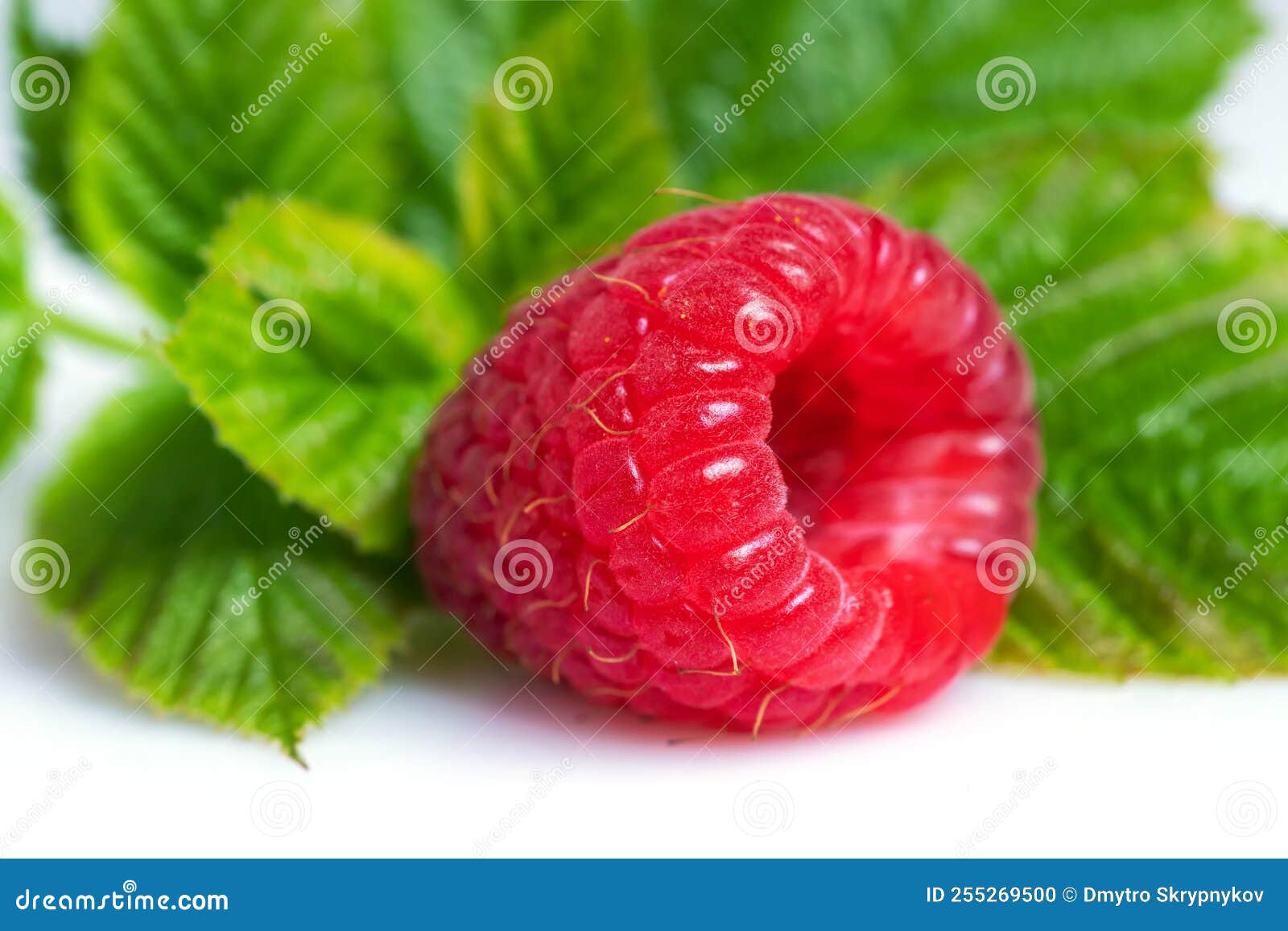 Raspberry with Leaves. Raspberry Isolated on White Background Stock ...