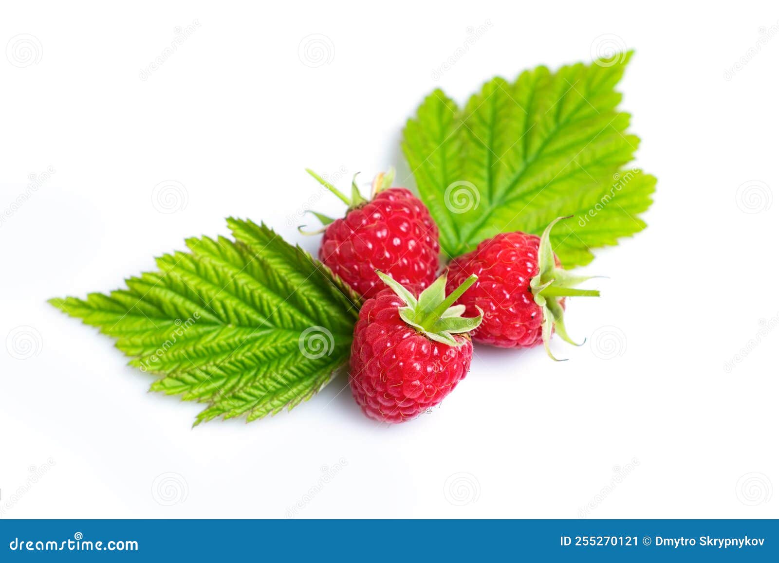 Raspberry with Leaves. Raspberry Isolated on White Background Stock ...