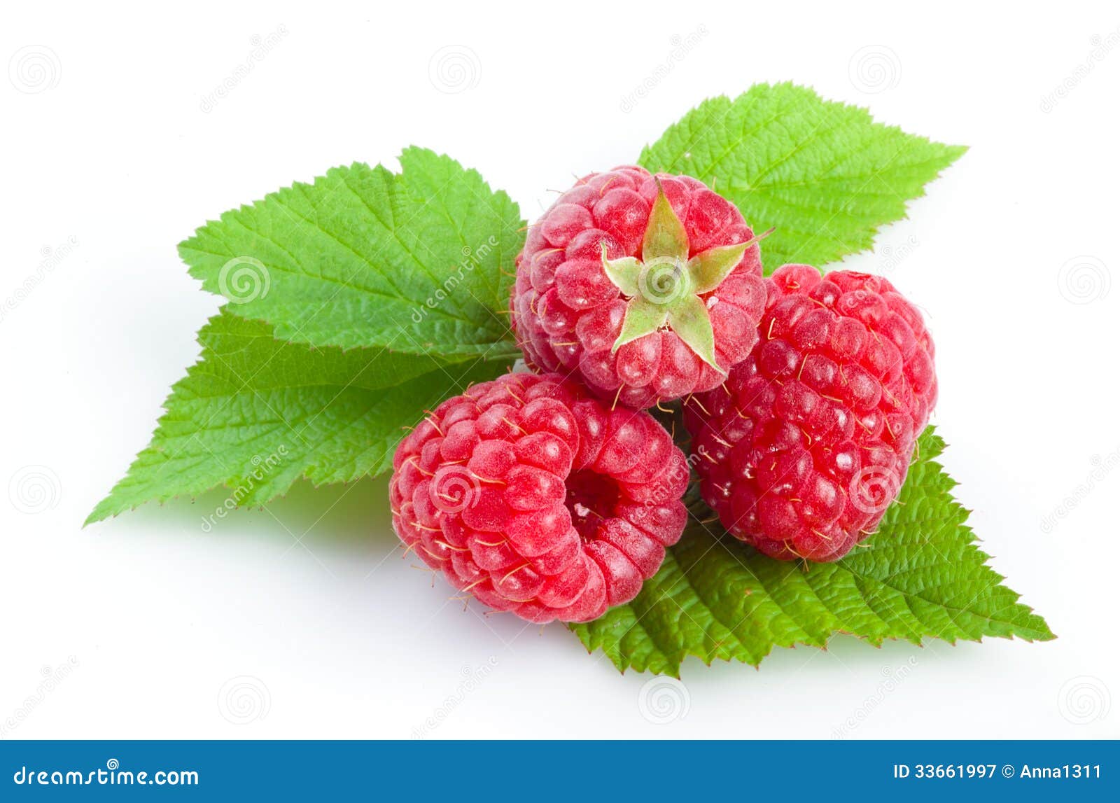 Raspberry with Leaves Isolated Stock Image - Image of sweet, fruit ...