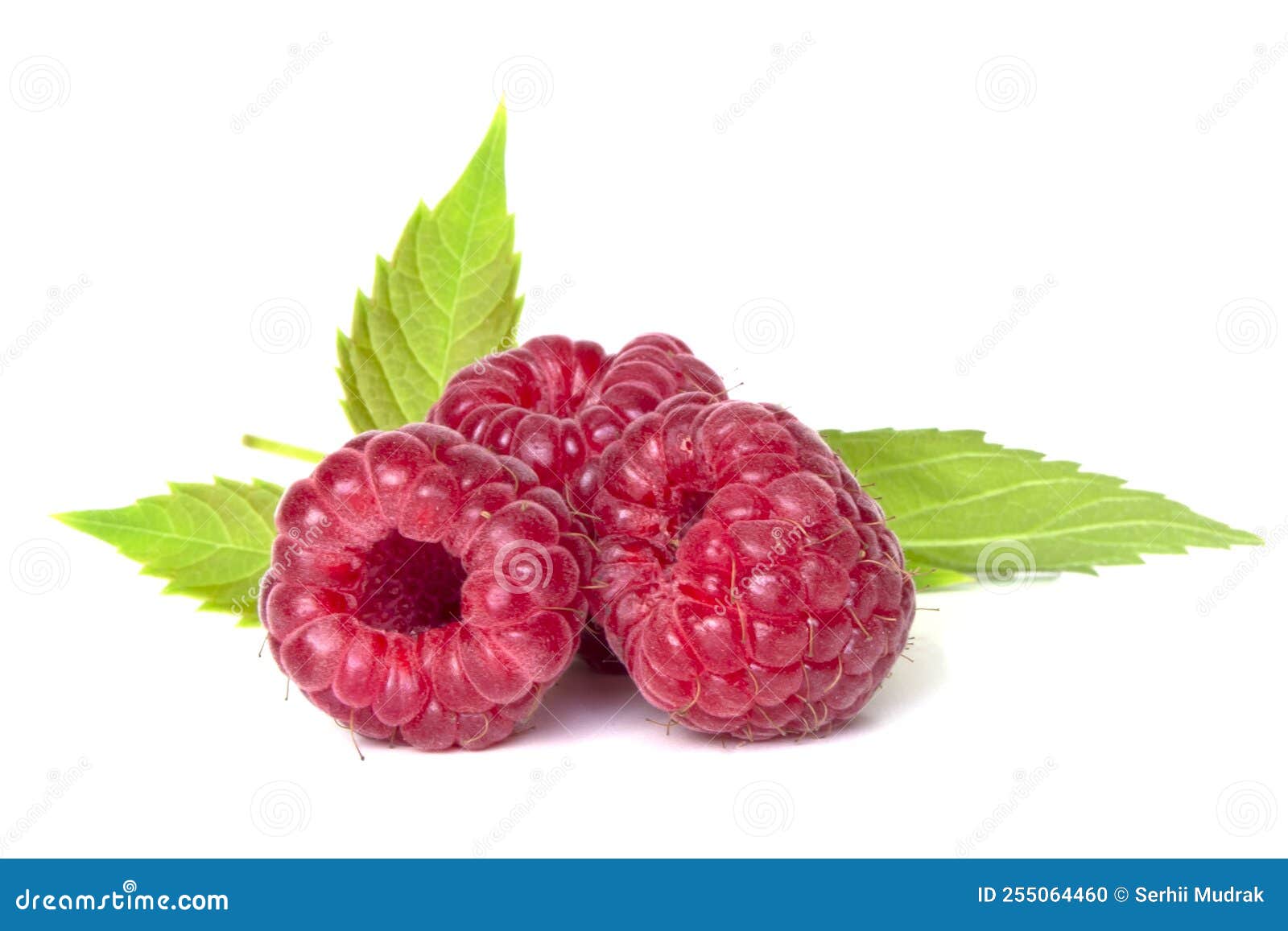 Raspberry with Leaves Isolated on White Background Stock Photo - Image ...