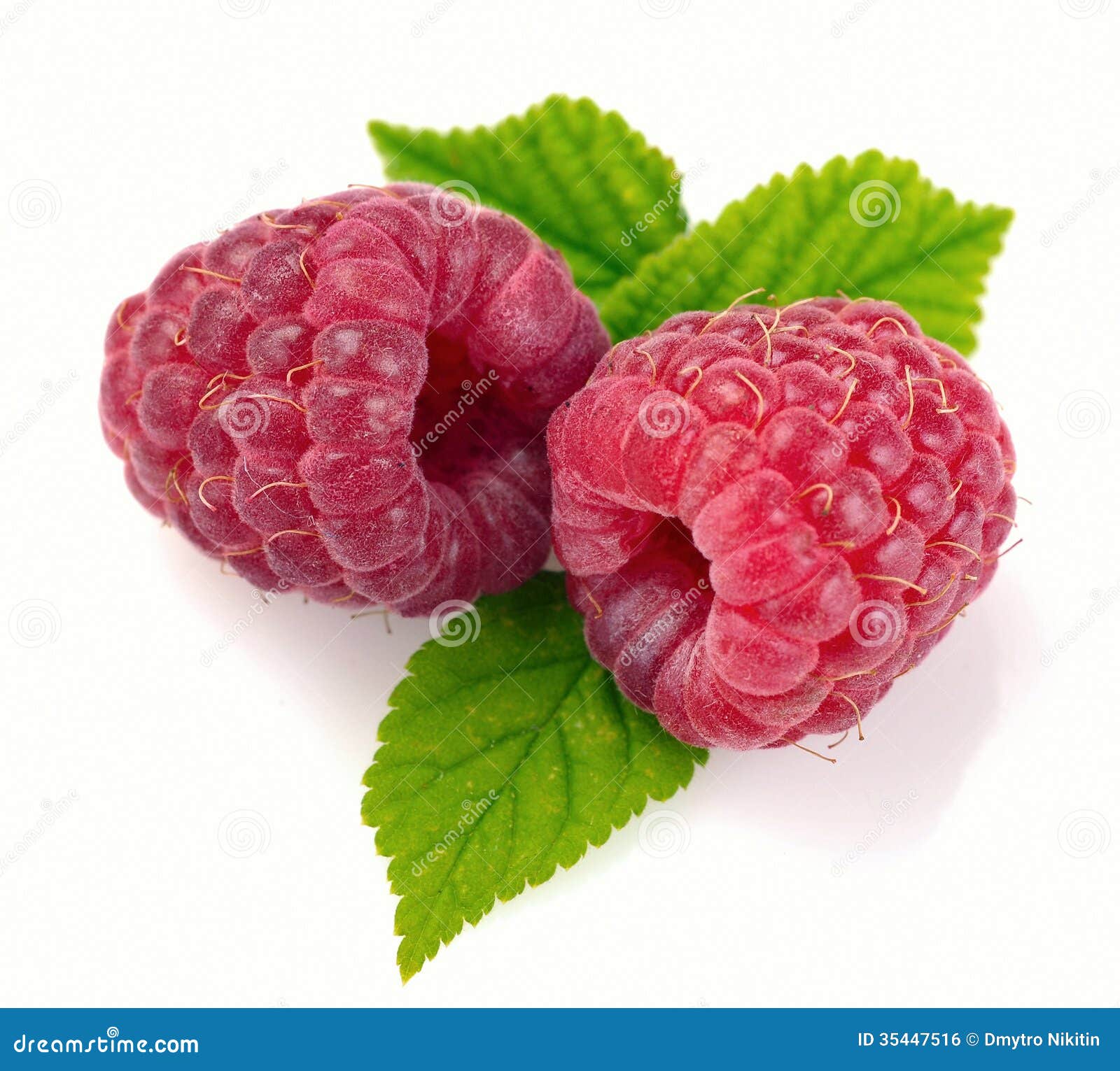 Raspberry with leaves stock photo. Image of sweet, garden - 35447516