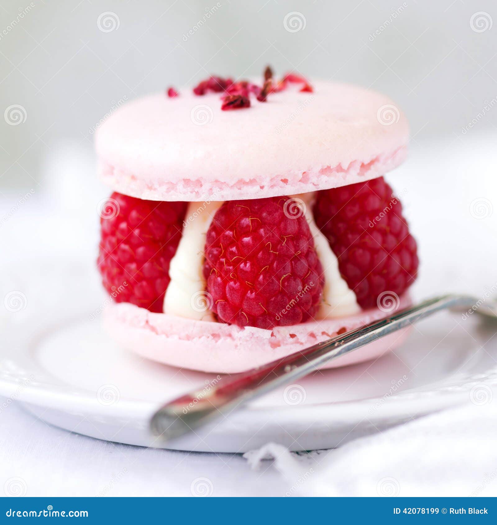 Raspberry macaron stock image. Image of pastries, white - 42078199