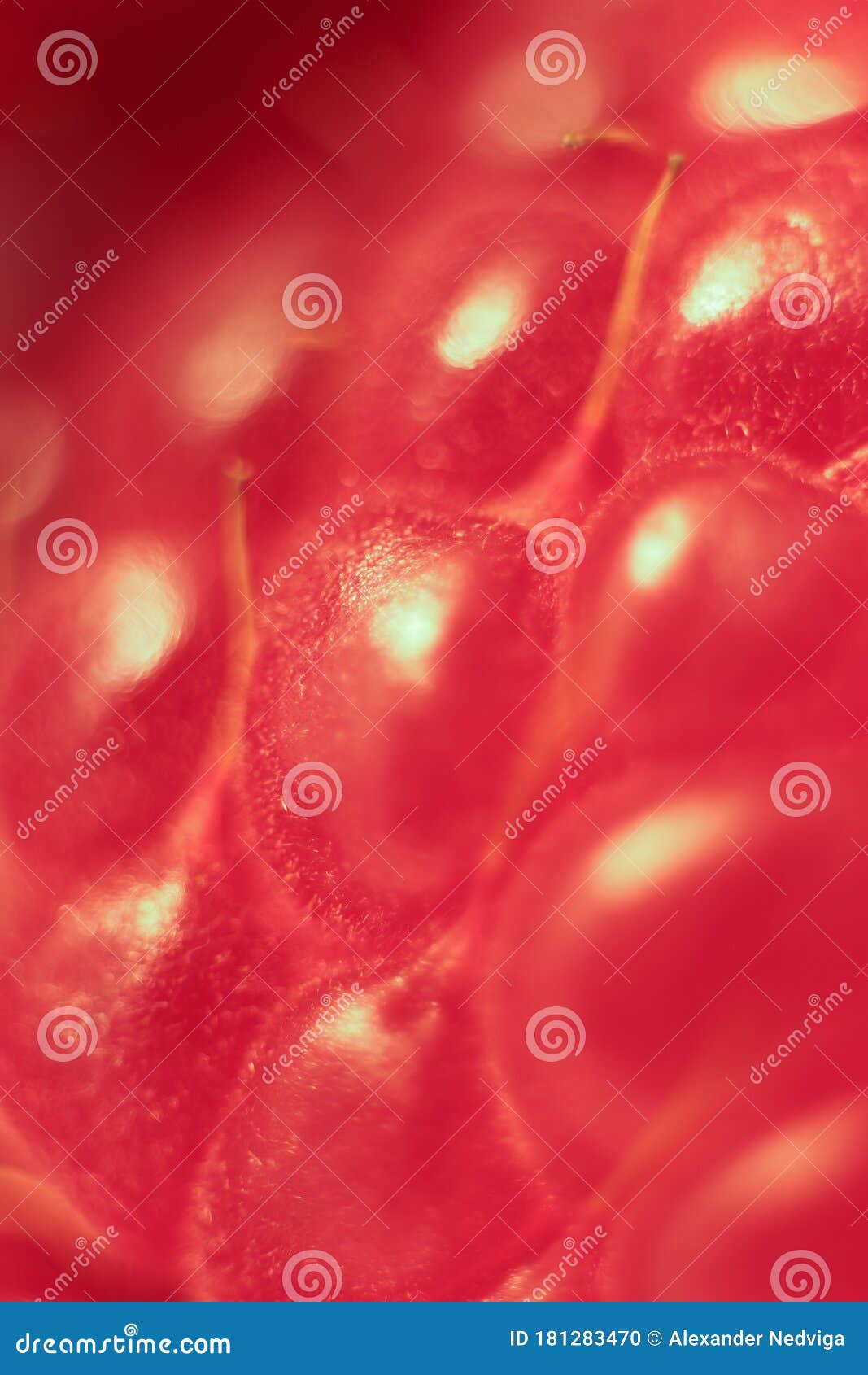 Raspberry Texture Background Stock Photo - Image of fibers, freshness ...