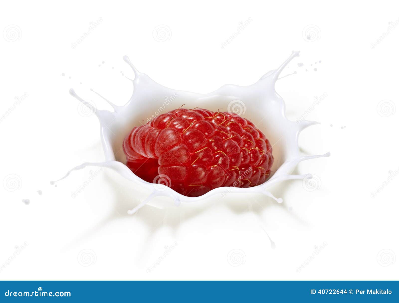 Raspberry Milk Splash stock photo. Image of copy, berry - 40722644