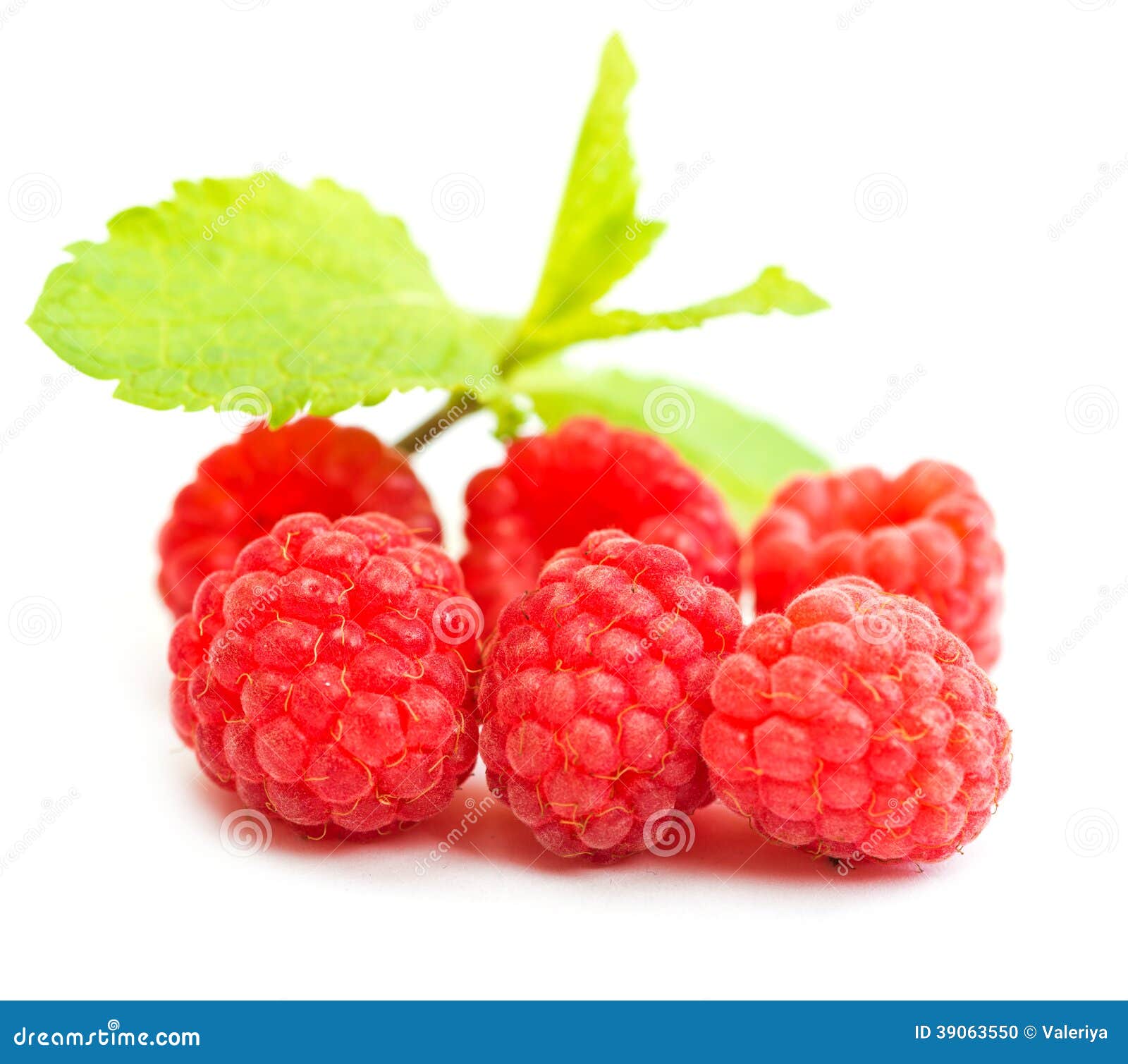 Raspberry with mint stock photo. Image of peppermint - 39063550