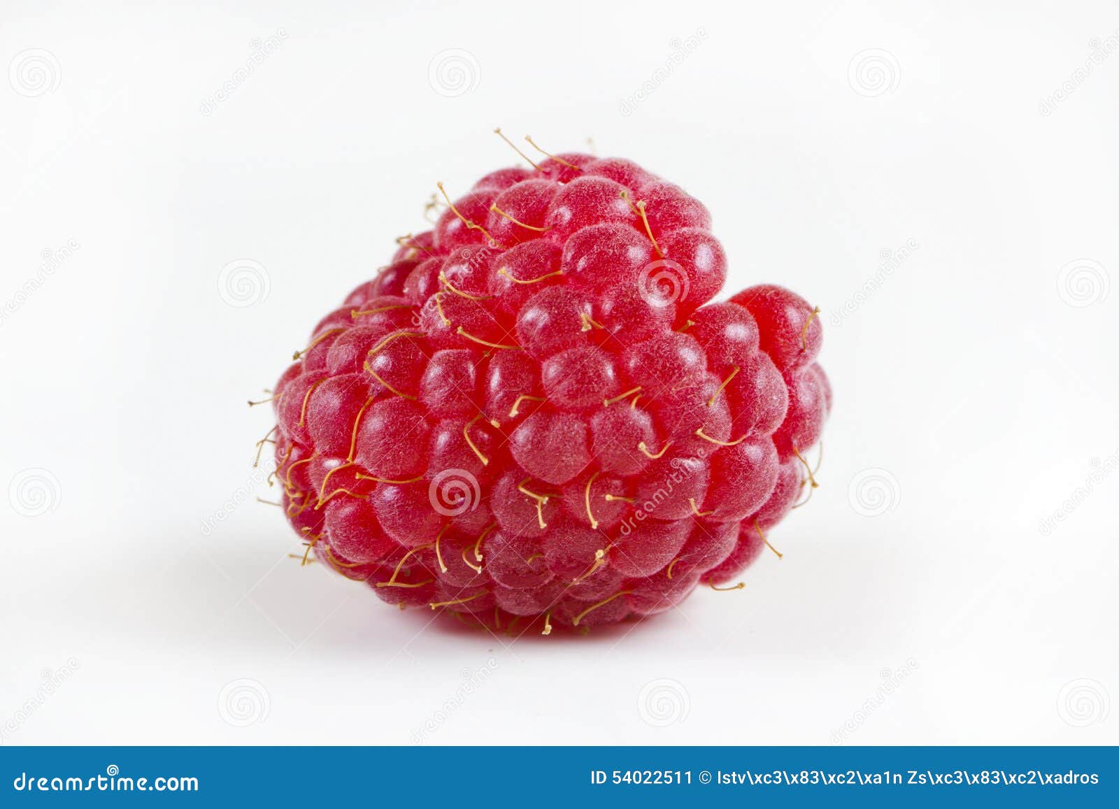 Raspberry stock image. Image of raspberry, juicy, diet - 54022511