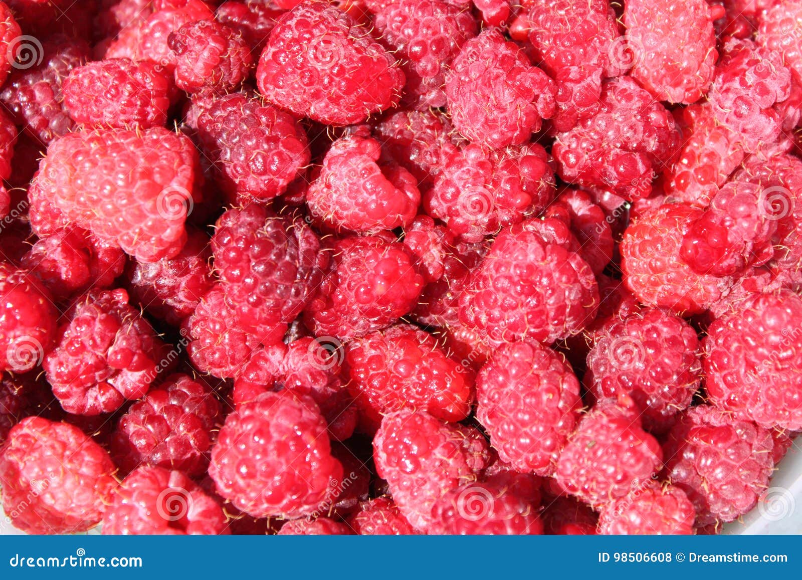 Raspberry stock photo. Image of tree, nature, love, beautiful - 98506608