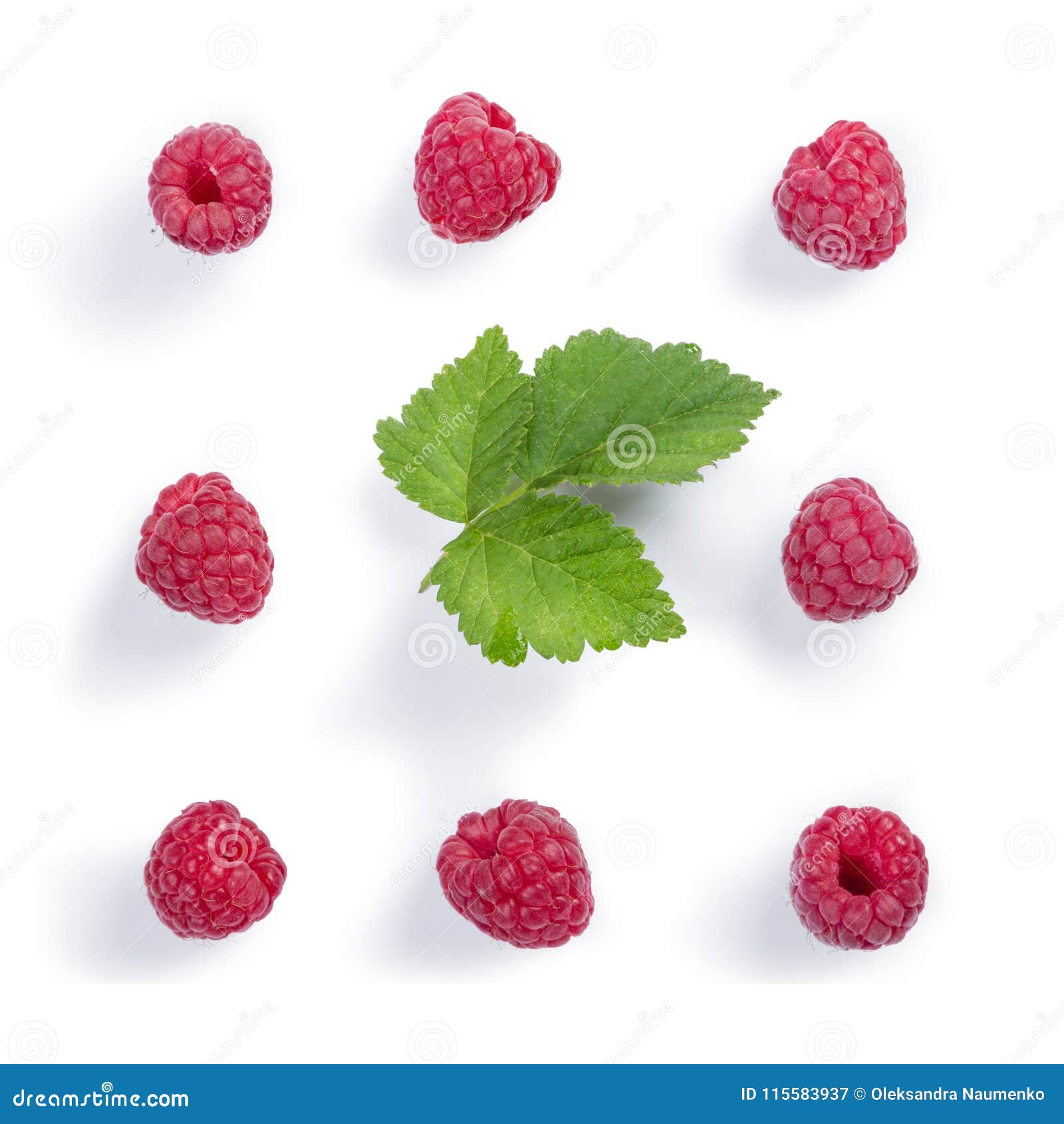 Raspberry Pattern Isolated on White Stock Image - Image of overhead ...