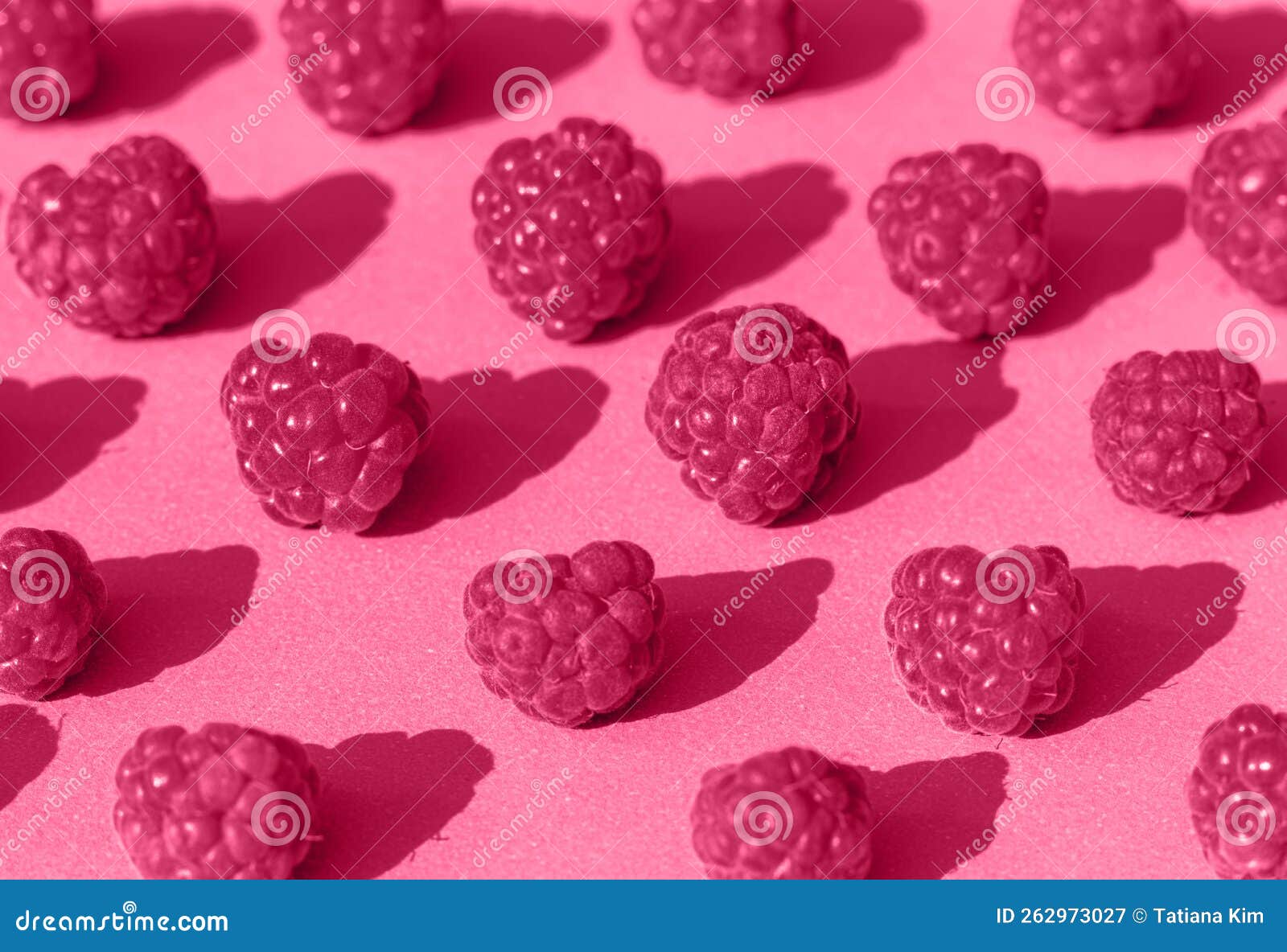 Raspberry Pattern in Trend Color of 2023 Viva Magenta. Stock Image ...