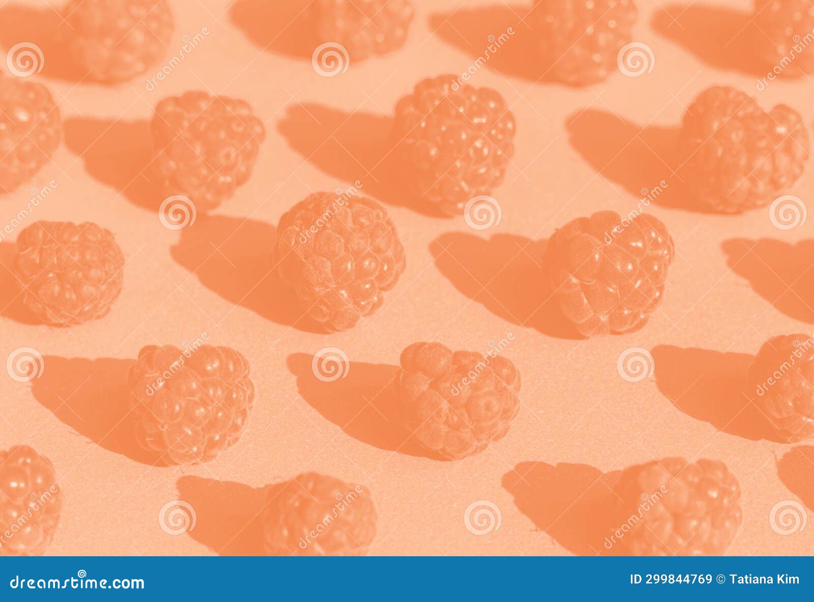 Raspberry Pattern in Trend Color of the Year 2024 Peach Fuzz. Stock ...