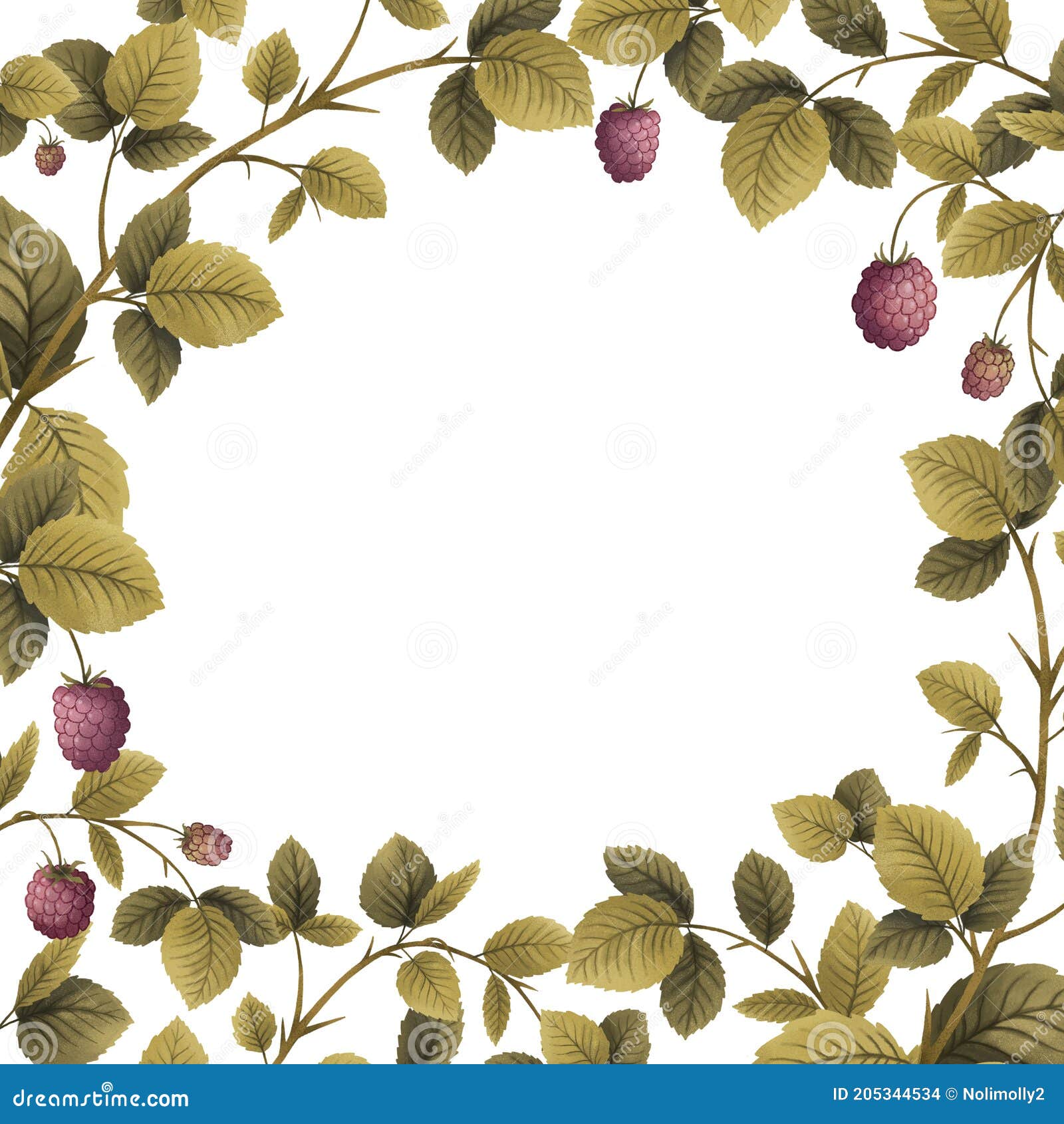 Raspberry Plant, Leaves Branch in and Berries, Template Frame, Drawing ...