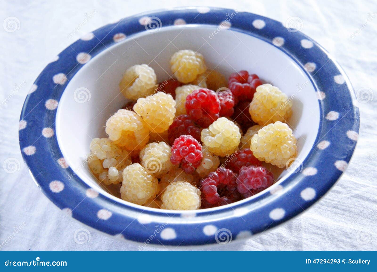 Raspberry on the Plate Close Up after Harvest Stock Image - Image of ...