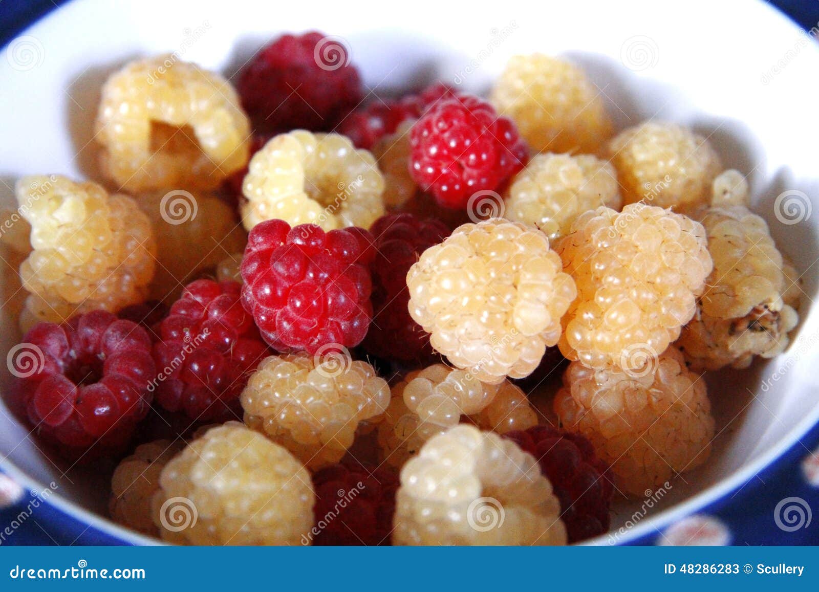 Raspberry on the Plate Close Up after Harvest Stock Image - Image of ...