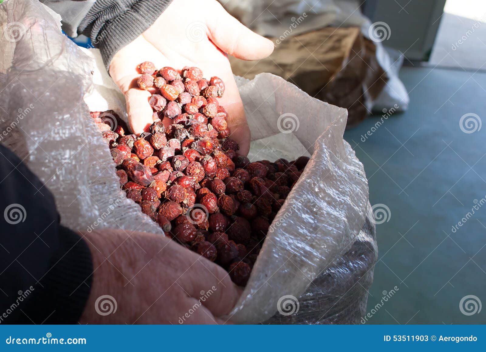 Raspberry production stock image. Image of nature, juicy - 53511903
