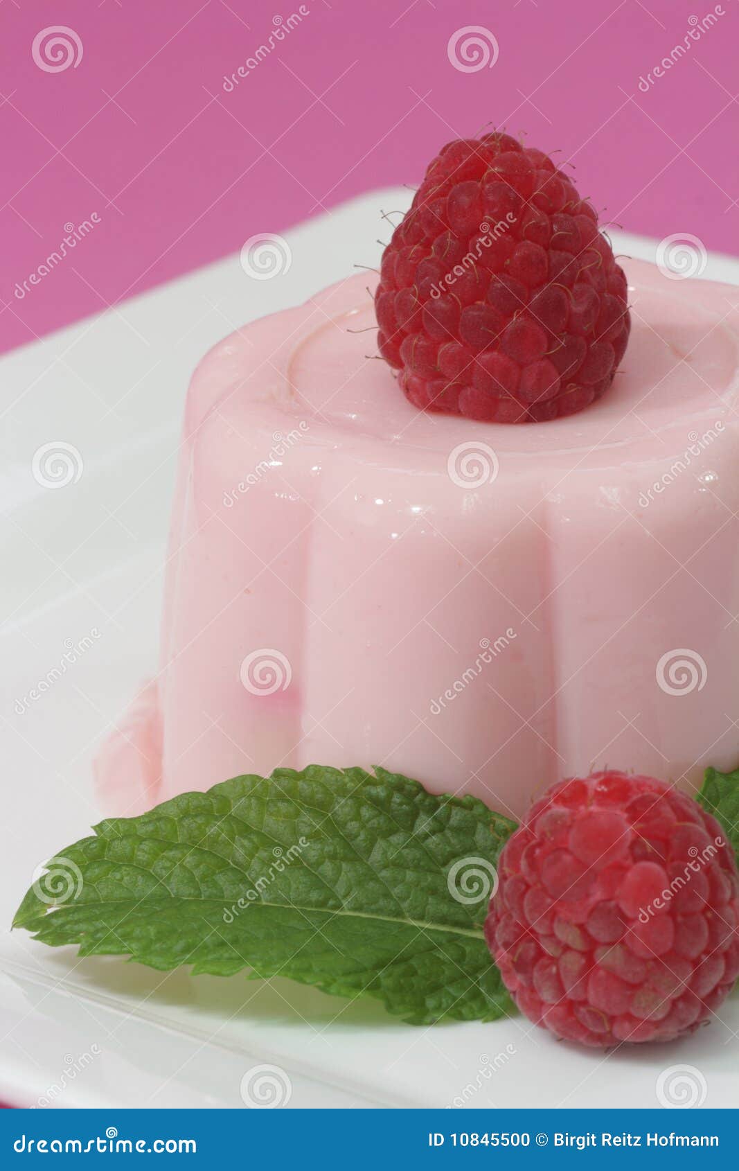 Raspberry pudding stock photo. Image of sweetly, fruit - 10845500